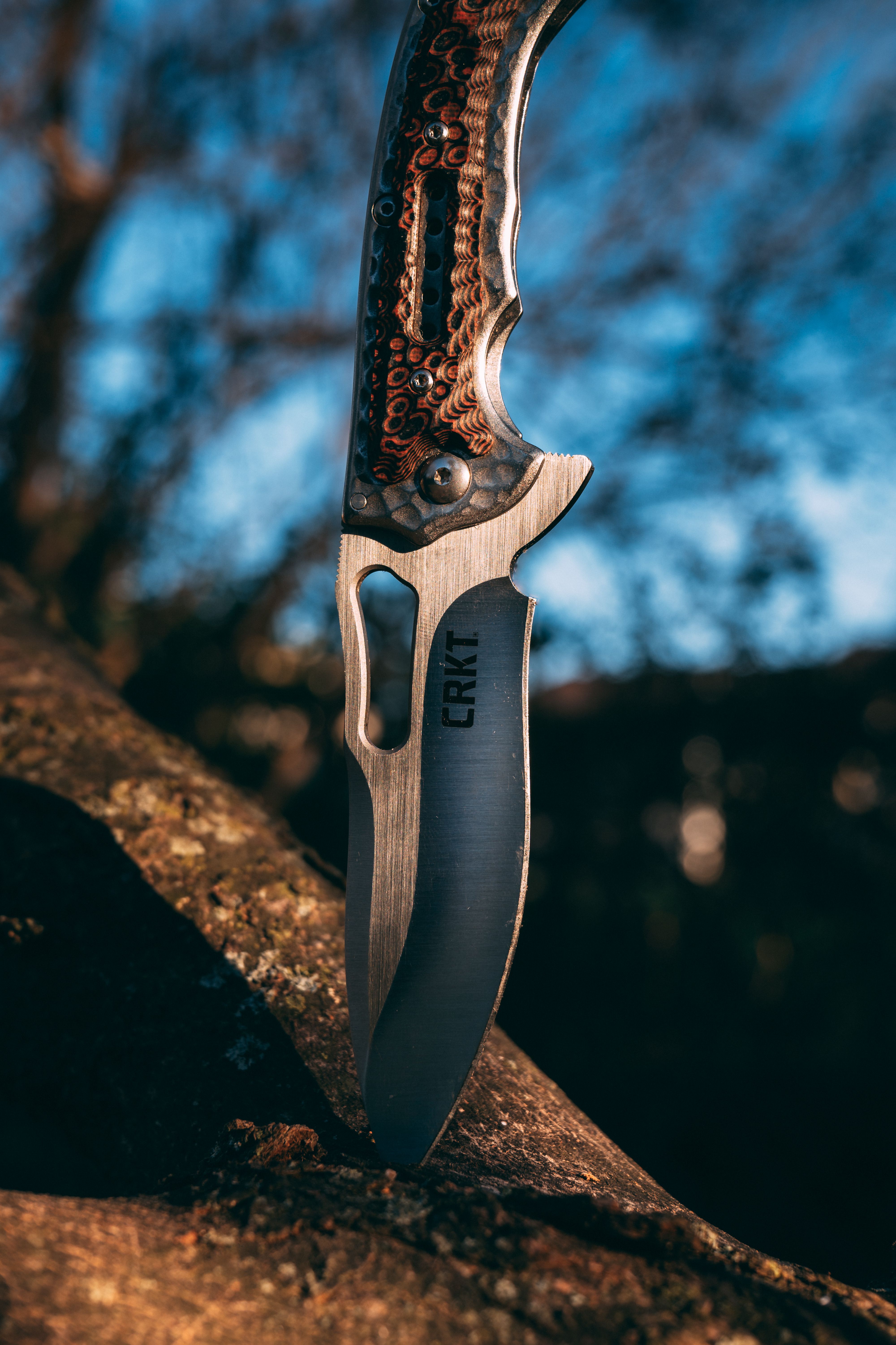 Dagger in a Forest · Free Stock Photo