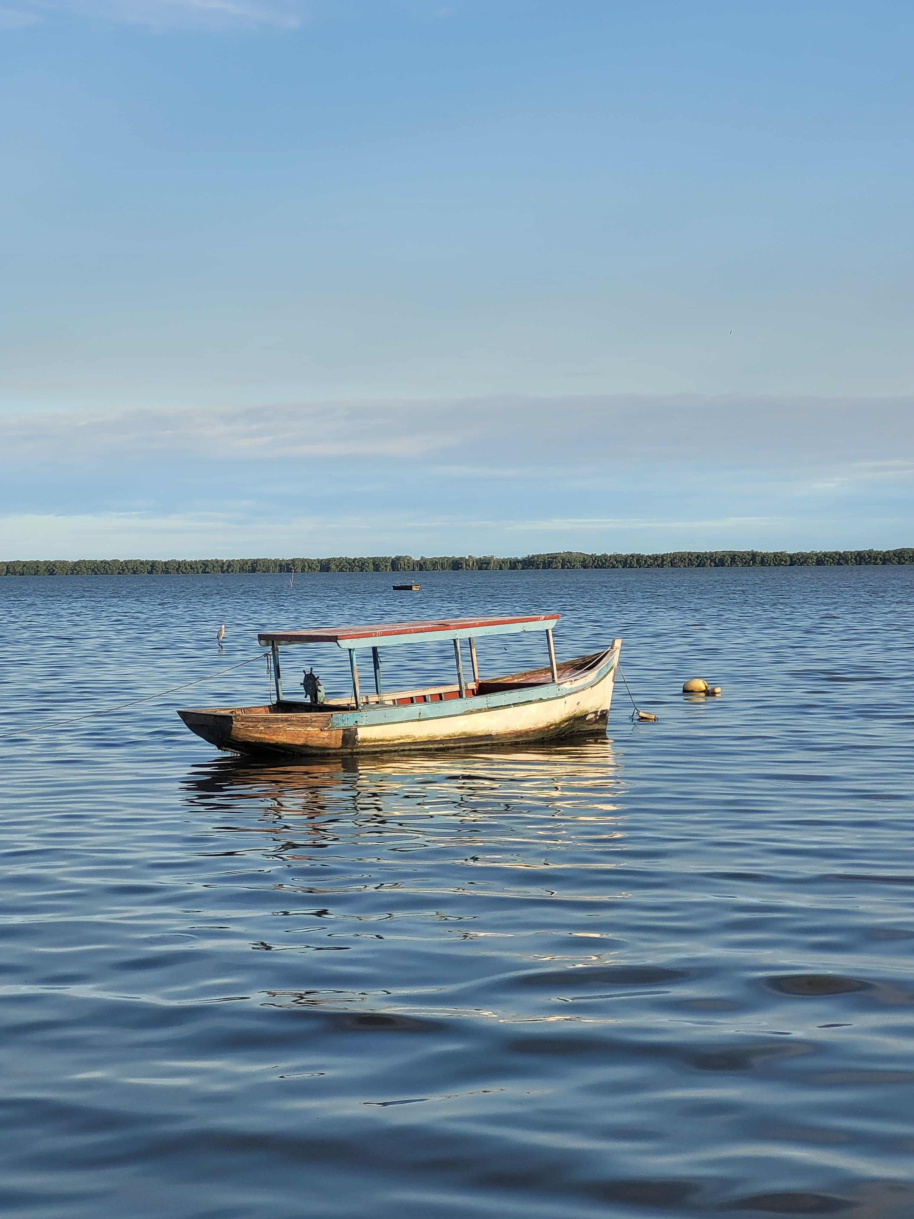 Empty Boat Floating near the Coast · Free Stock Photo