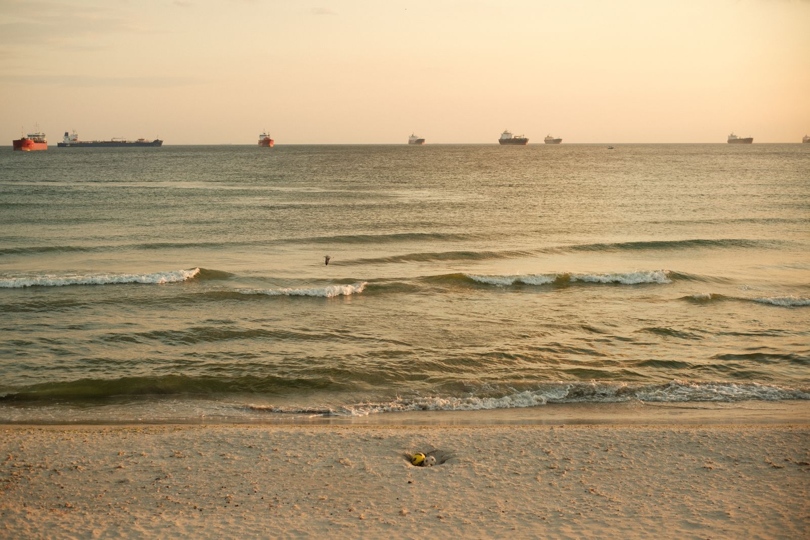 Beach Sand Sunset Photos, Download The BEST Free Beach Sand Sunset ...