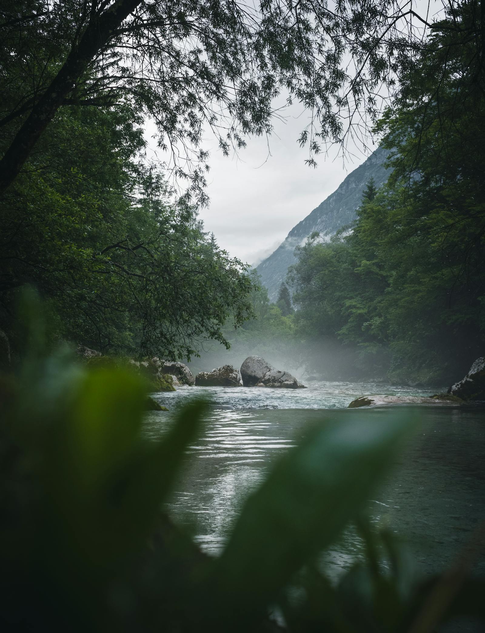 Rain Forest 4k Wallpaper Photos, Download The BEST Free Rain Forest 4k ...