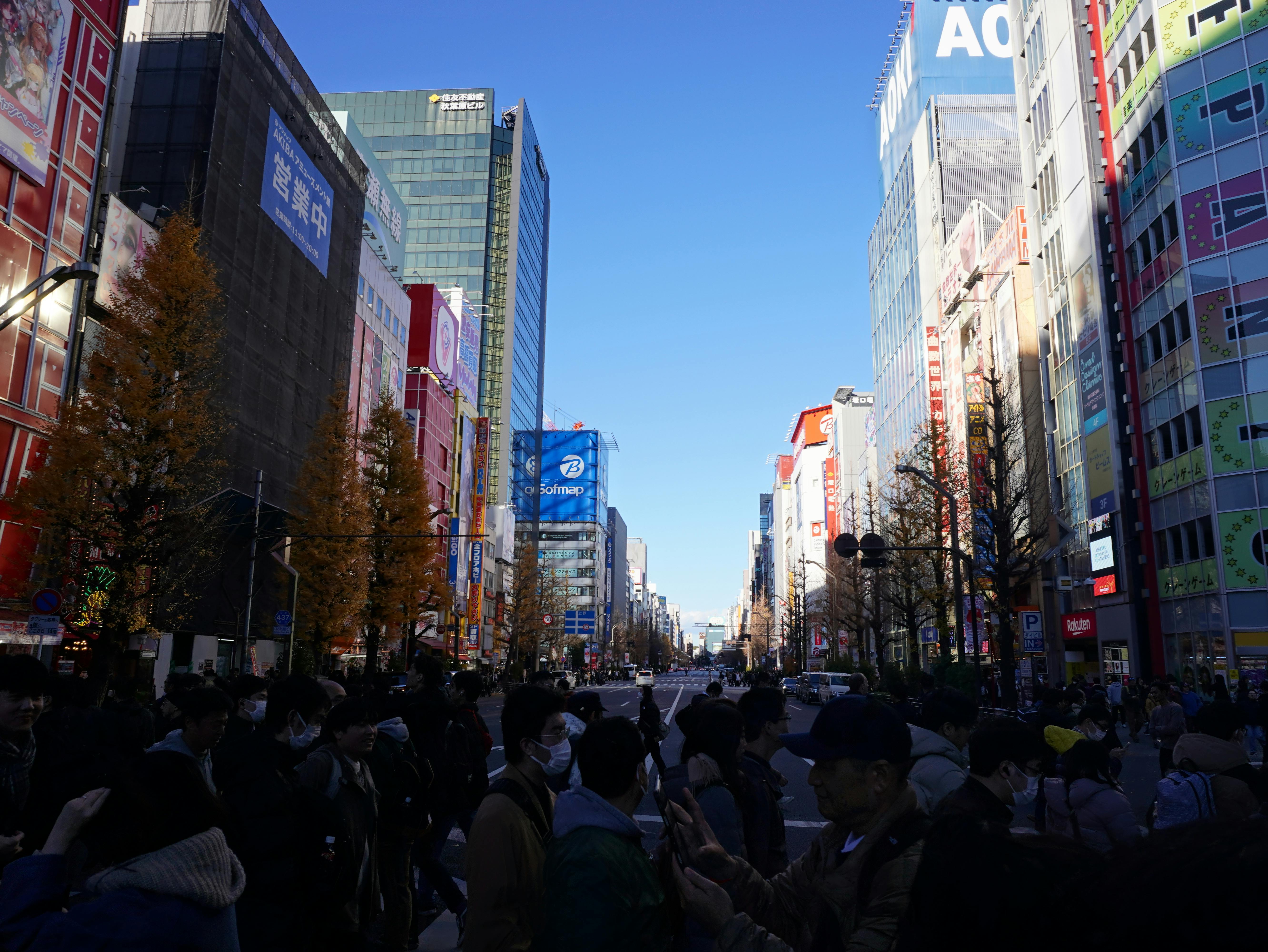 Crowded Tokyo Downtown on a Sunny Day, Japan · Free Stock Photo