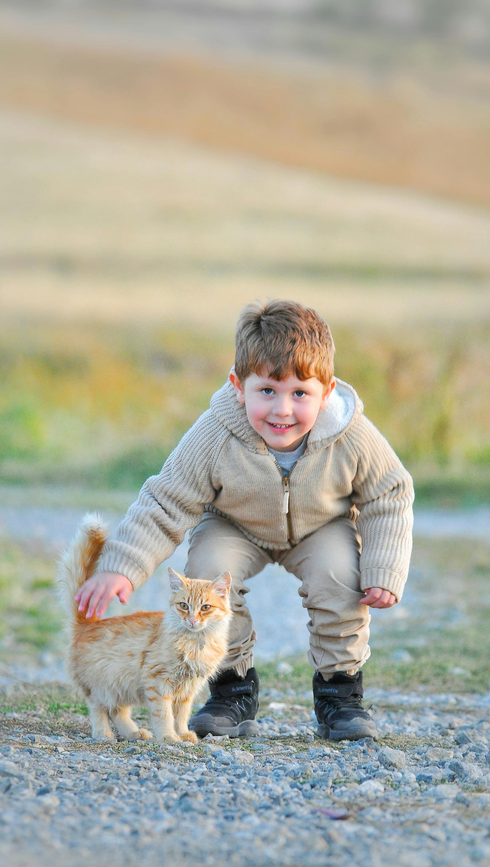 Child With Cat Photos, Download The BEST Free Child With Cat Stock ...