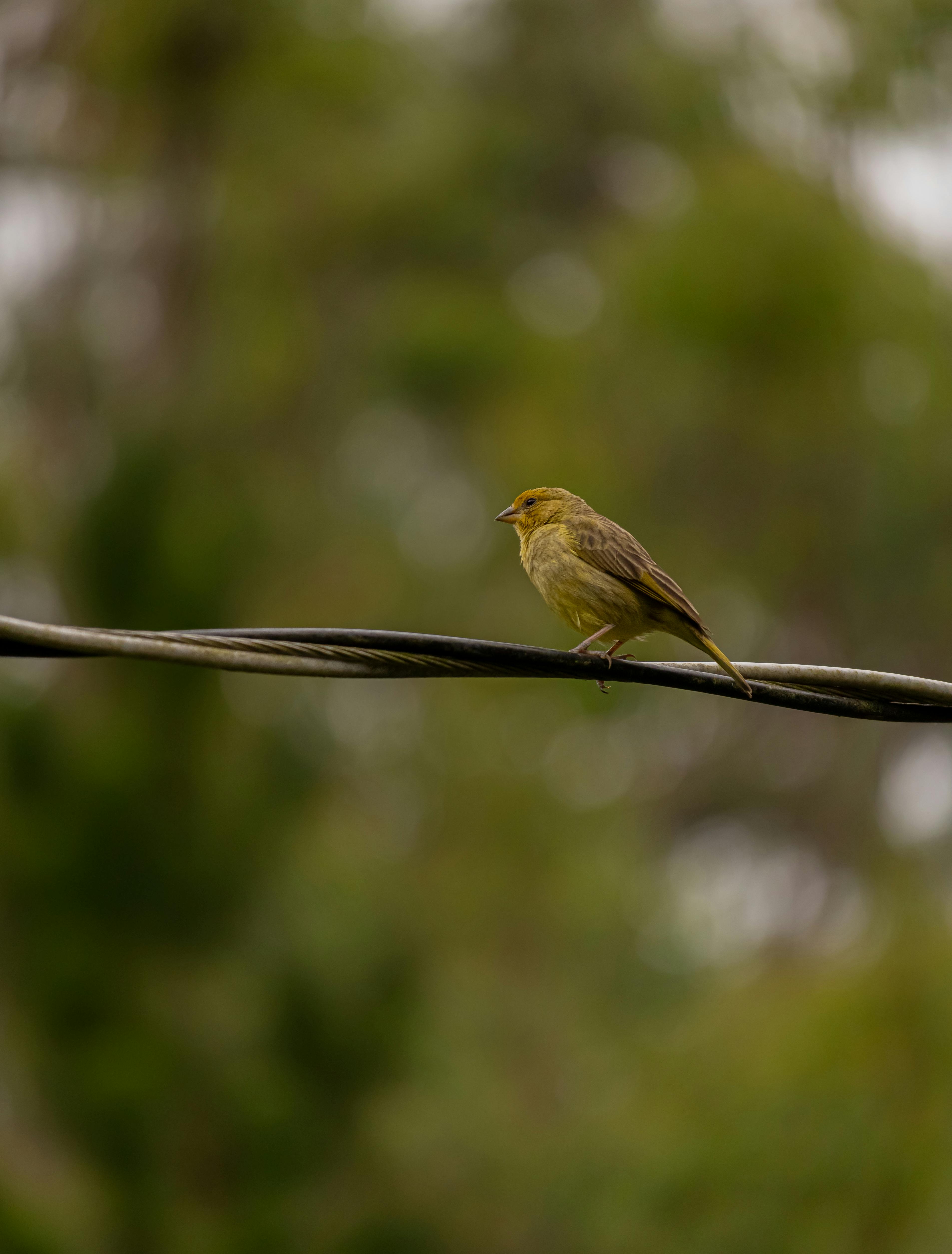 Extra Small Photos, Download The BEST Free Extra Small Stock Photos ...