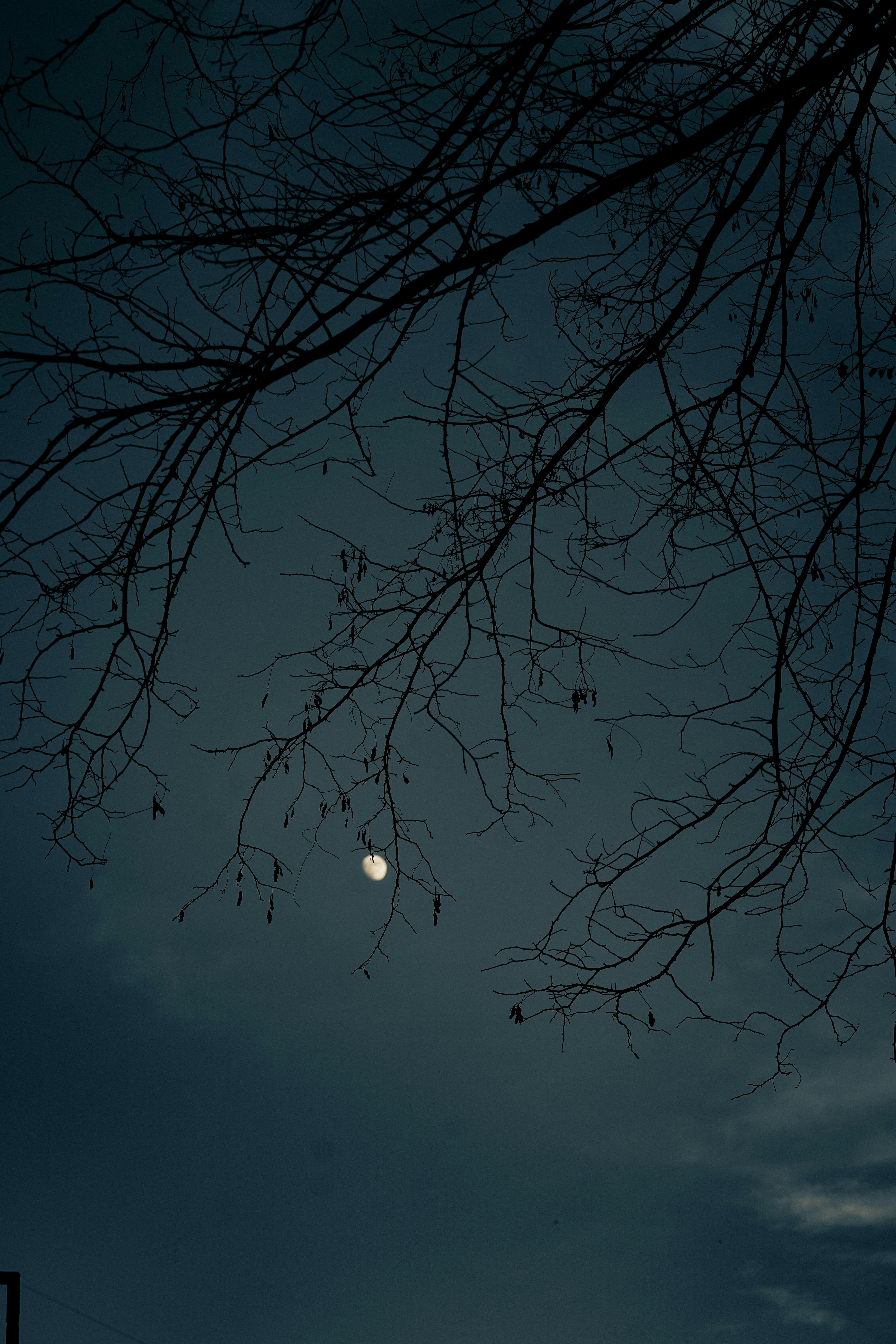 Foto Da Lua Durante A Noite · Foto profissional gratuita