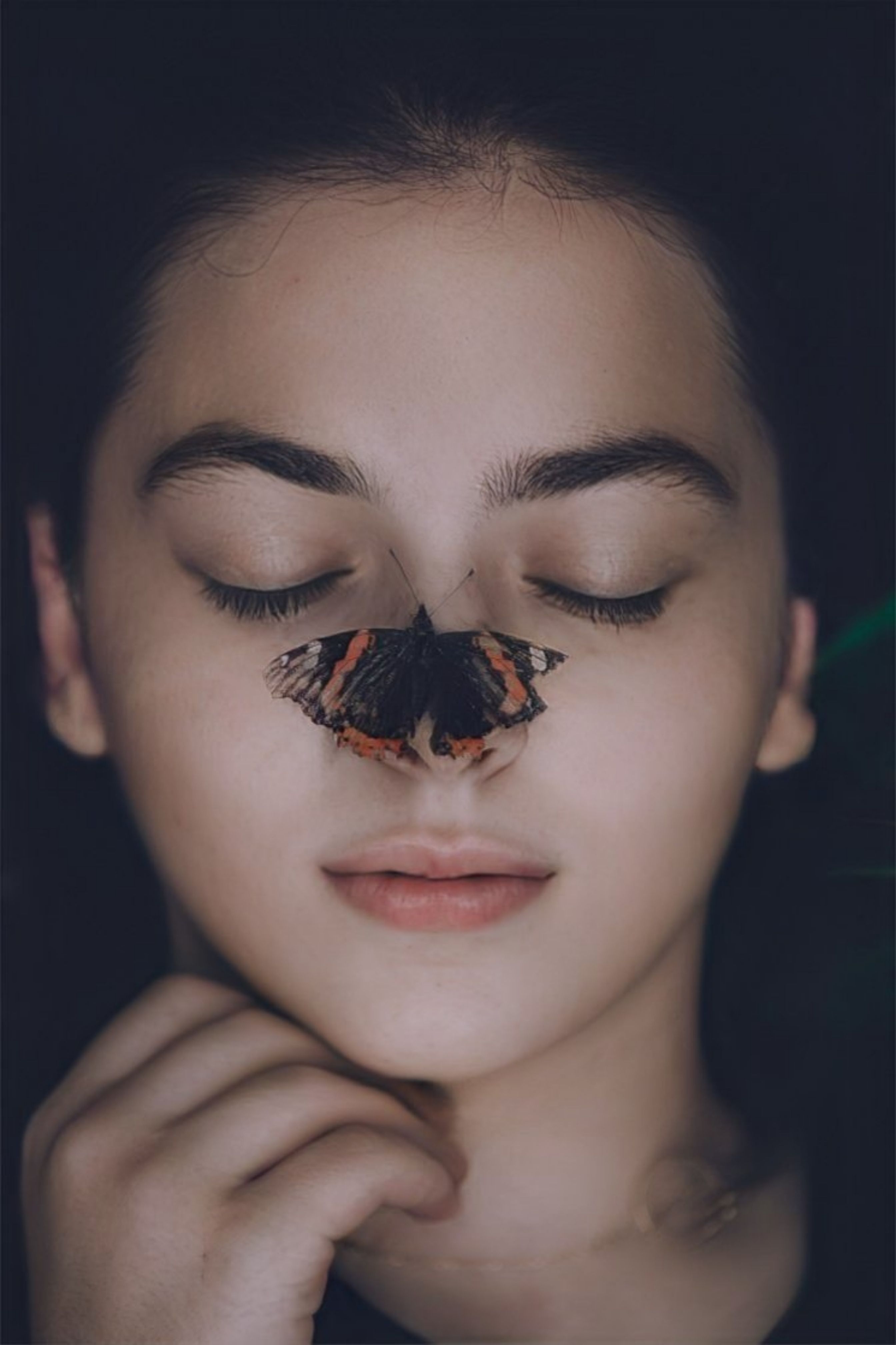 Butterfly Breath Photos, Download The BEST Free Butterfly Breath Stock ...
