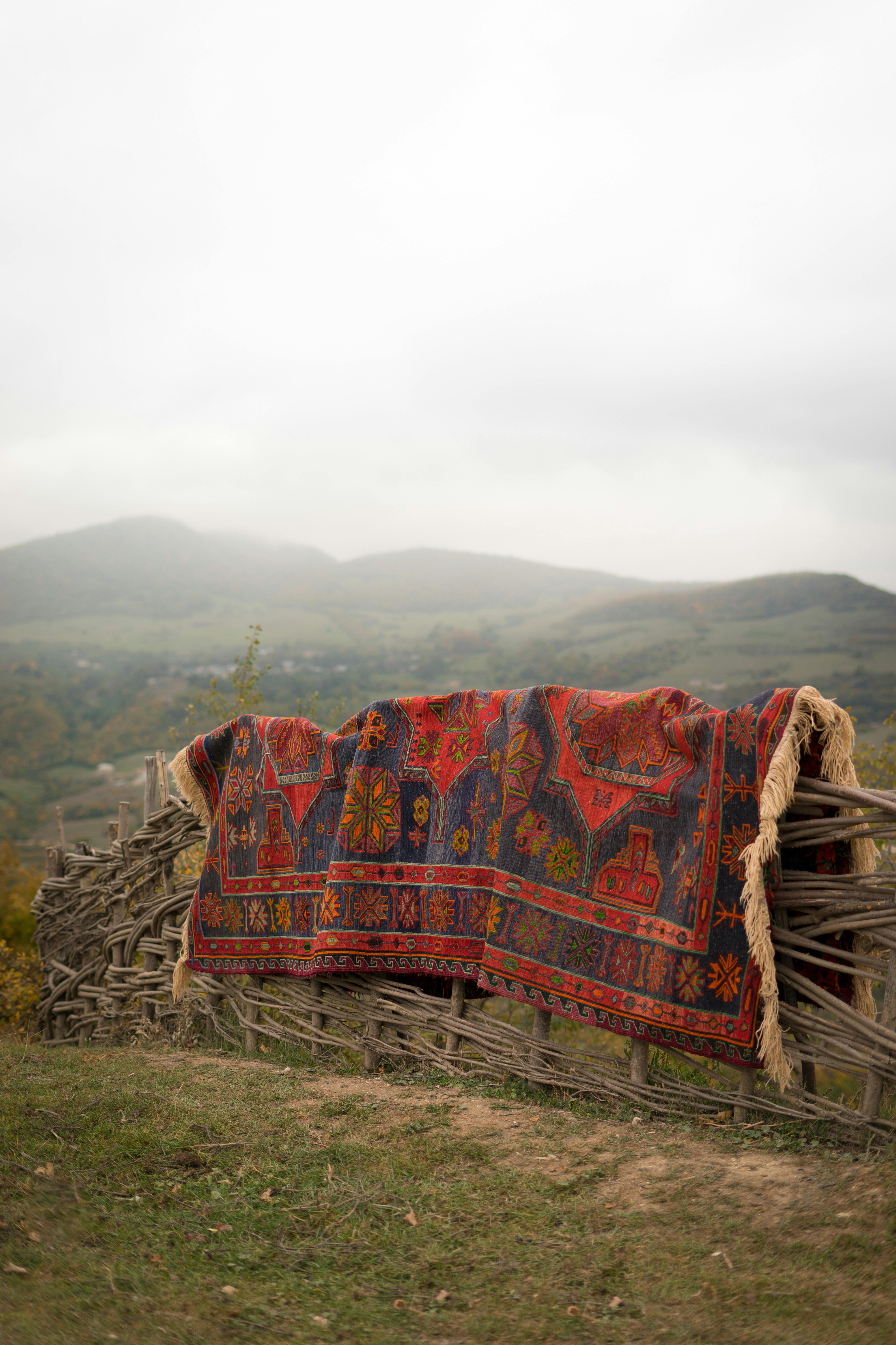 Carpet The Dziewczyny Photos, Download The BEST Free Carpet The ...