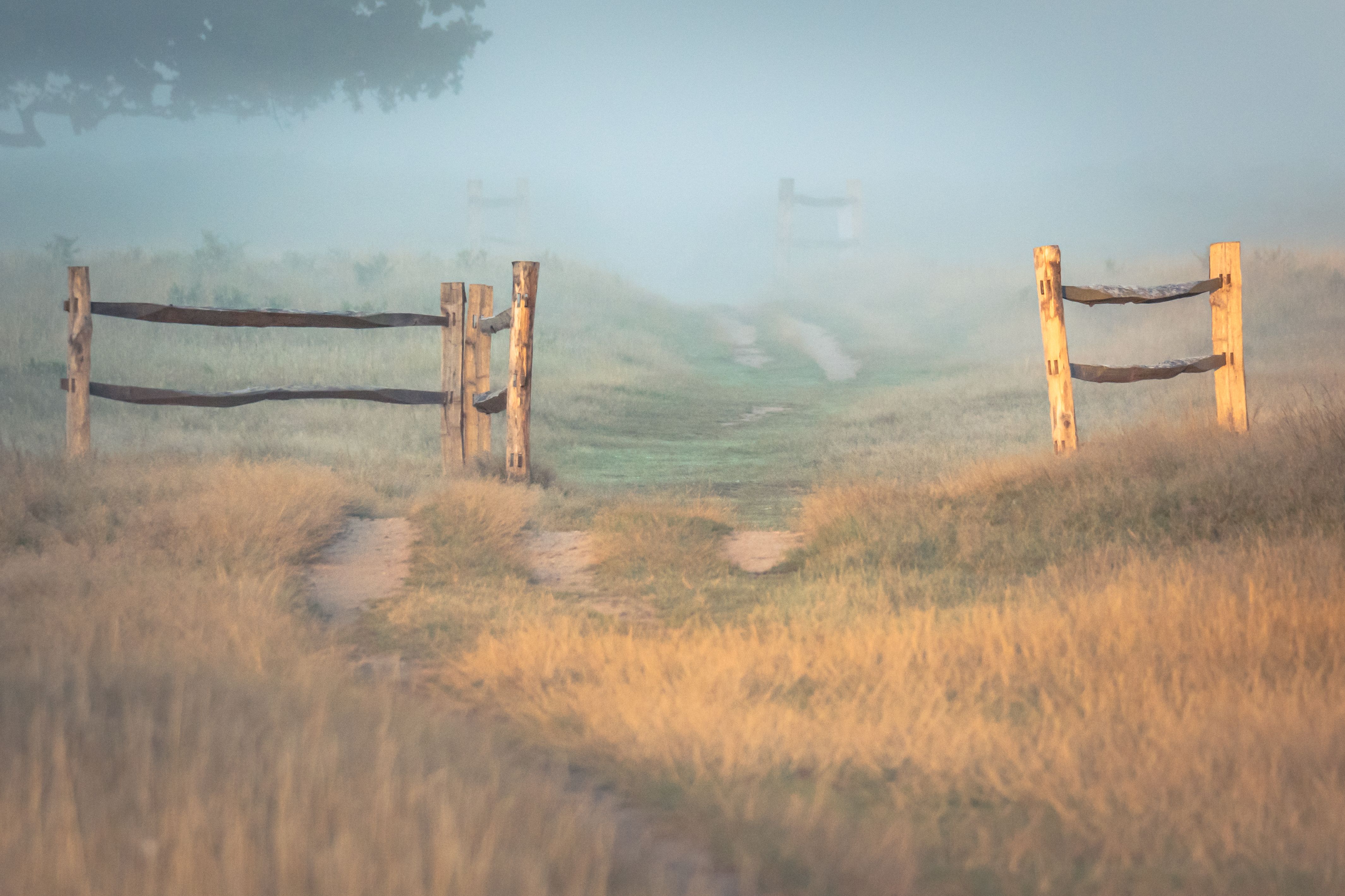 Foggy Green Grass Field Near Barbwire fence · Free Stock Photo