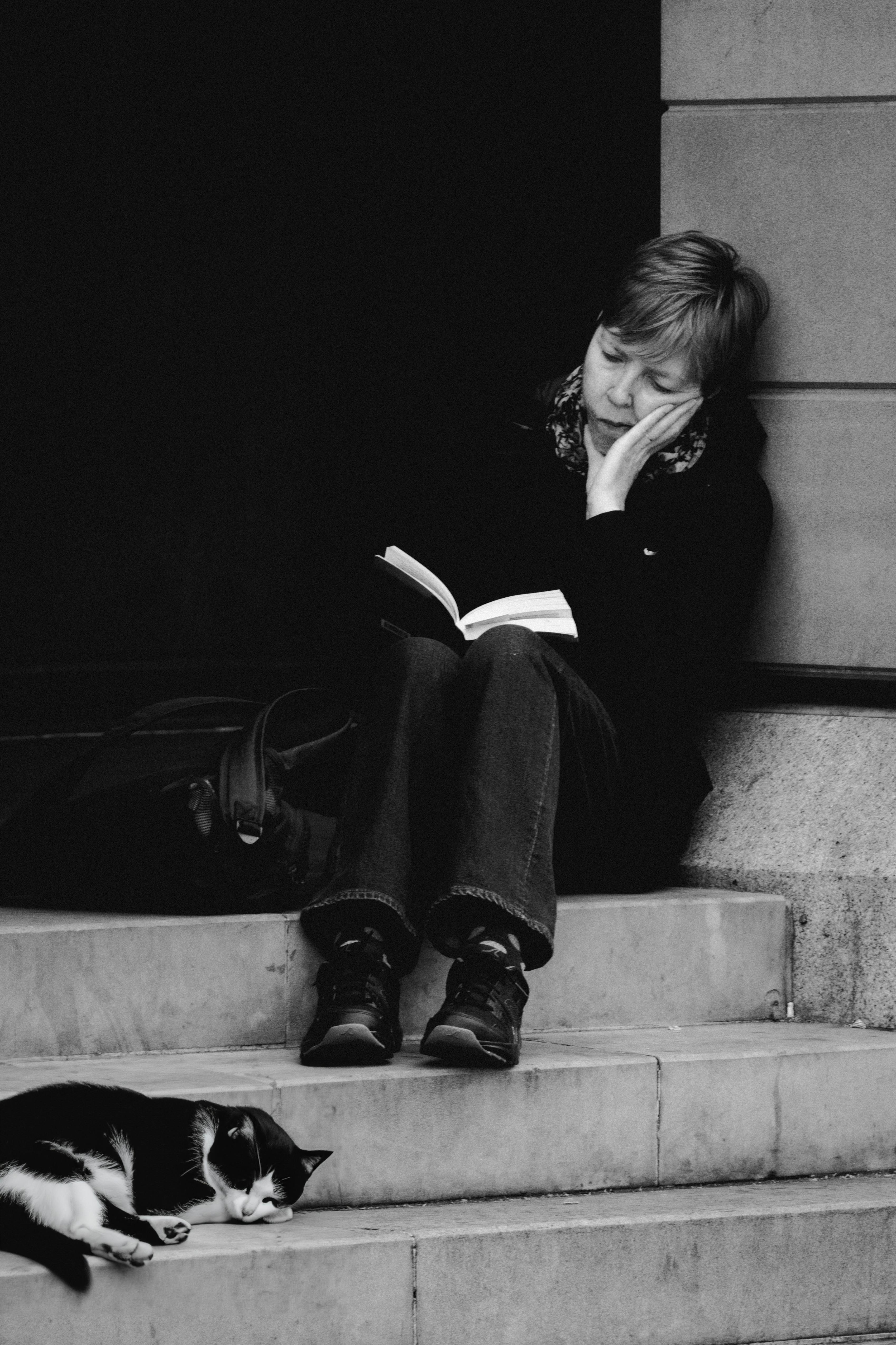 Rule Book Photos, Download The BEST Free Rule Book Stock Photos & HD Images