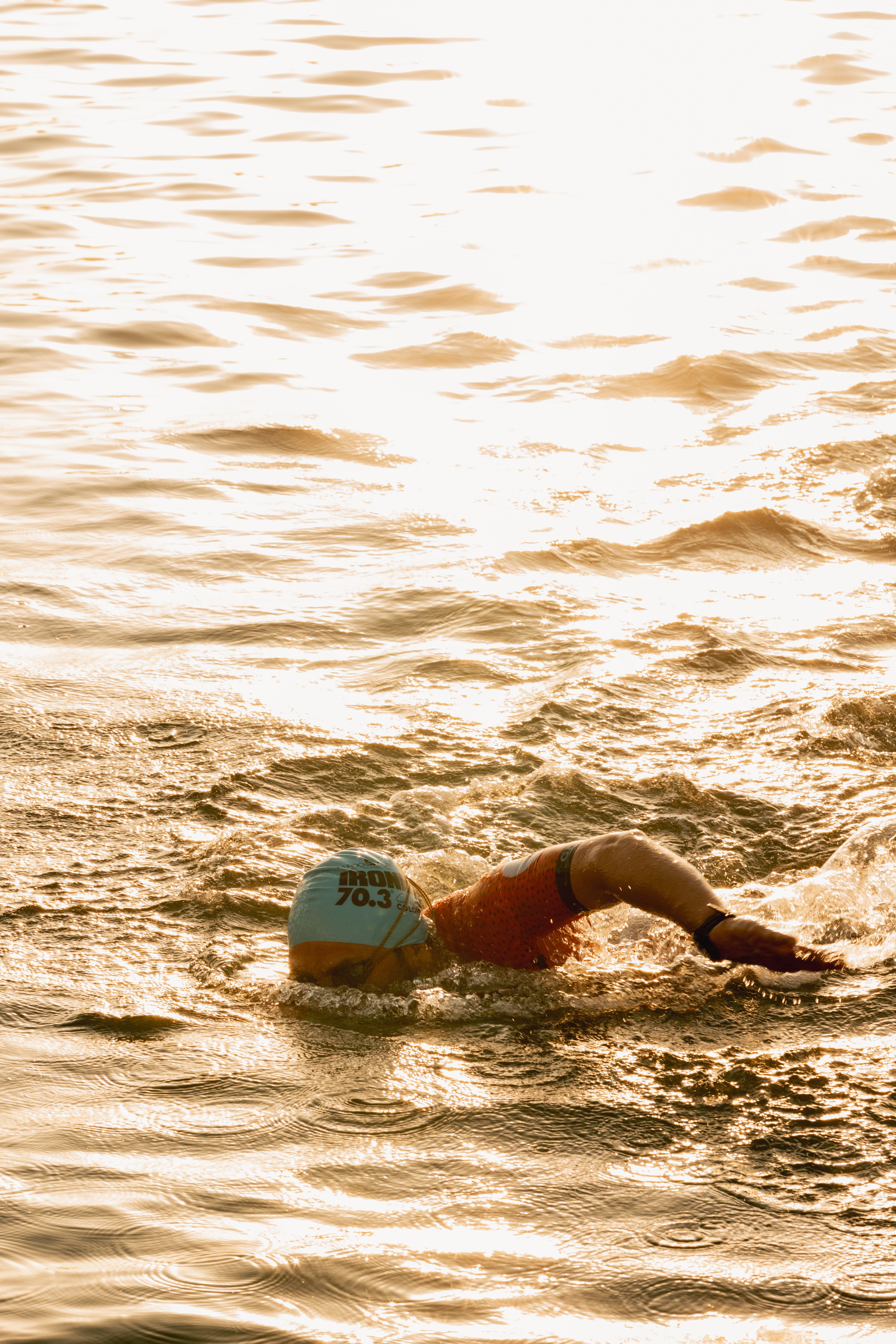 professional swimmer · Free Stock Photo