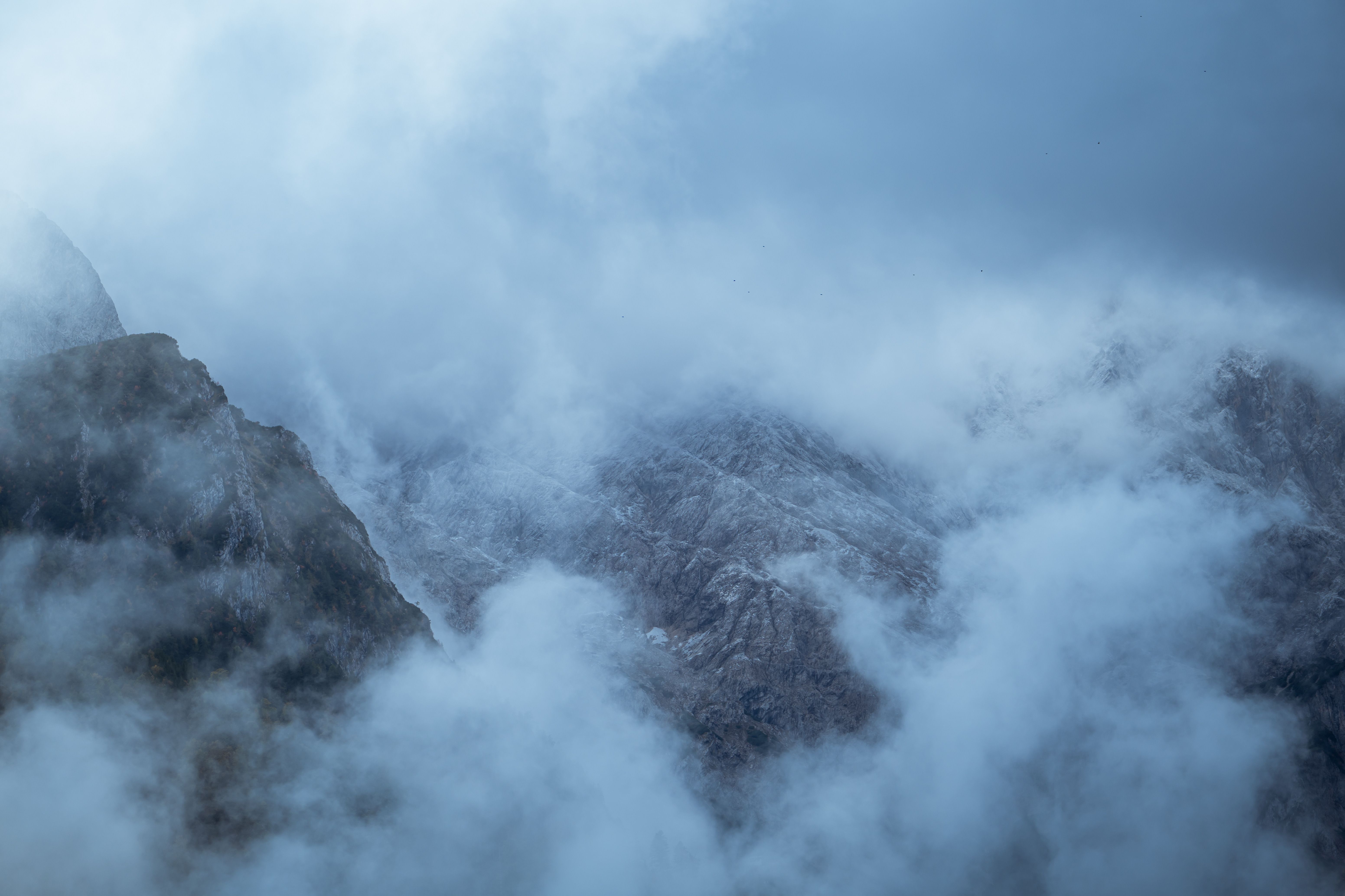 Fod Photos, Download The BEST Free Fod Stock Photos & HD Images