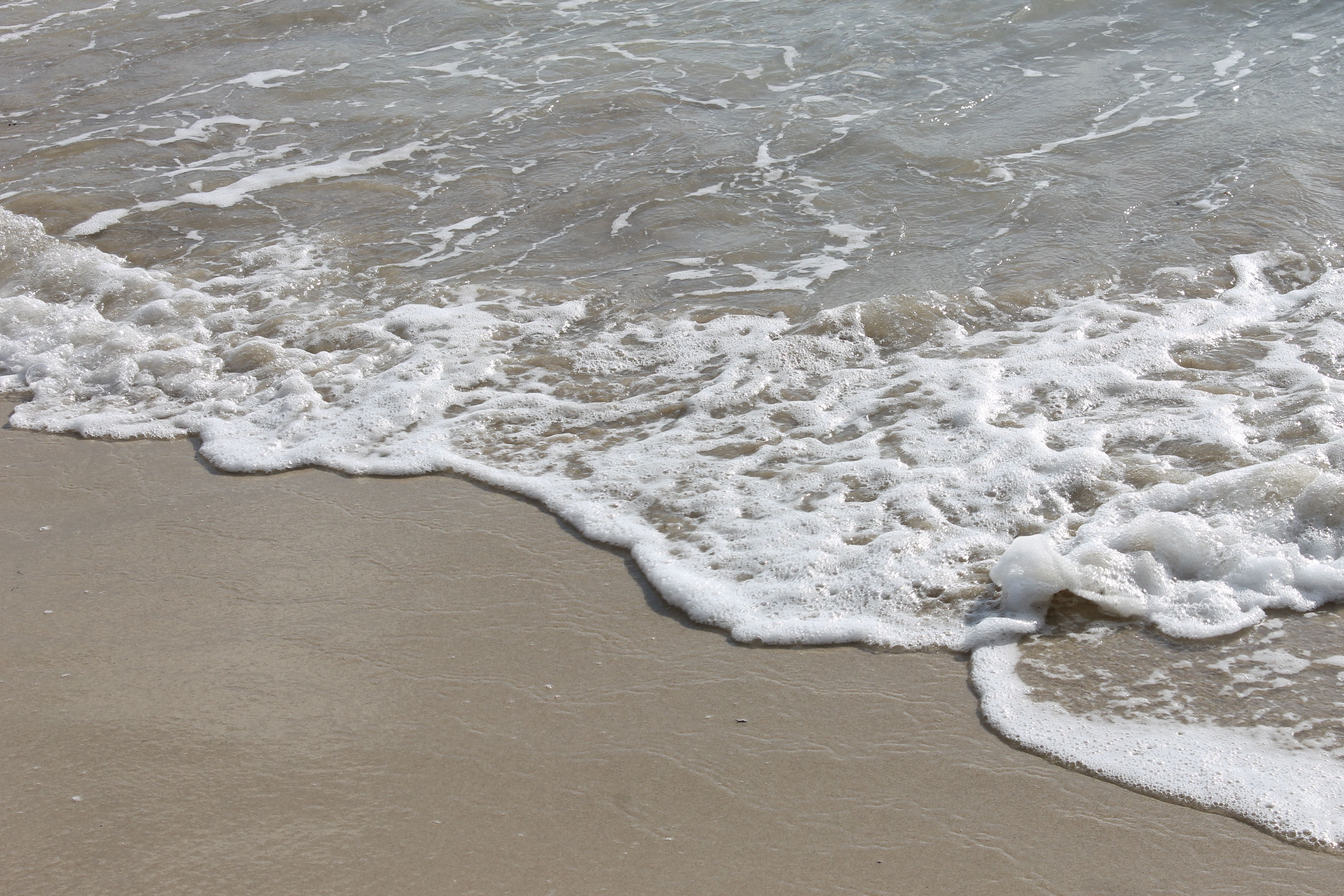 Waves on a Beach · Free Stock Photo