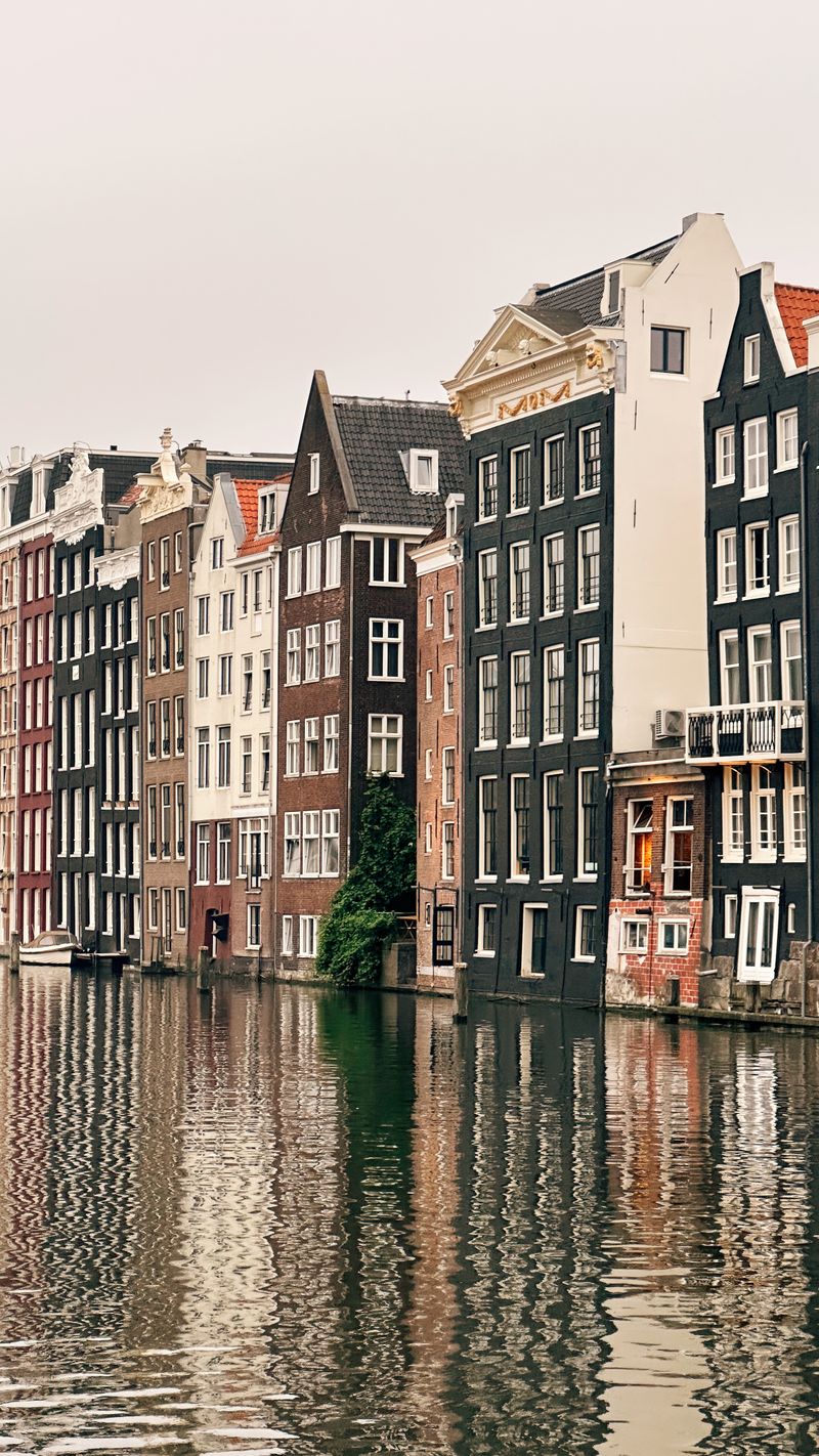 Netherland Photos, Download The BEST Free Netherland Stock Photos & HD ...