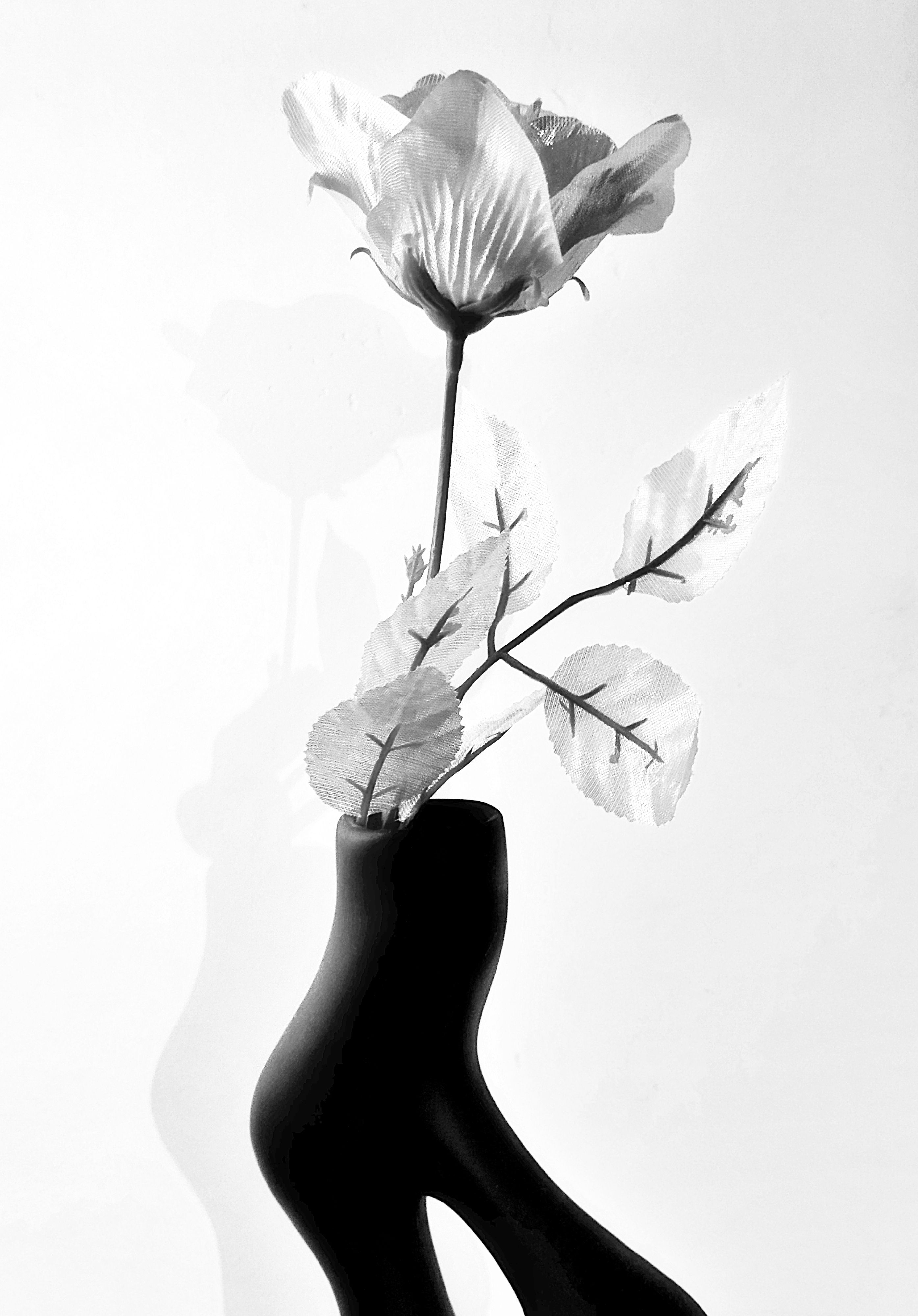 Hans - Photography