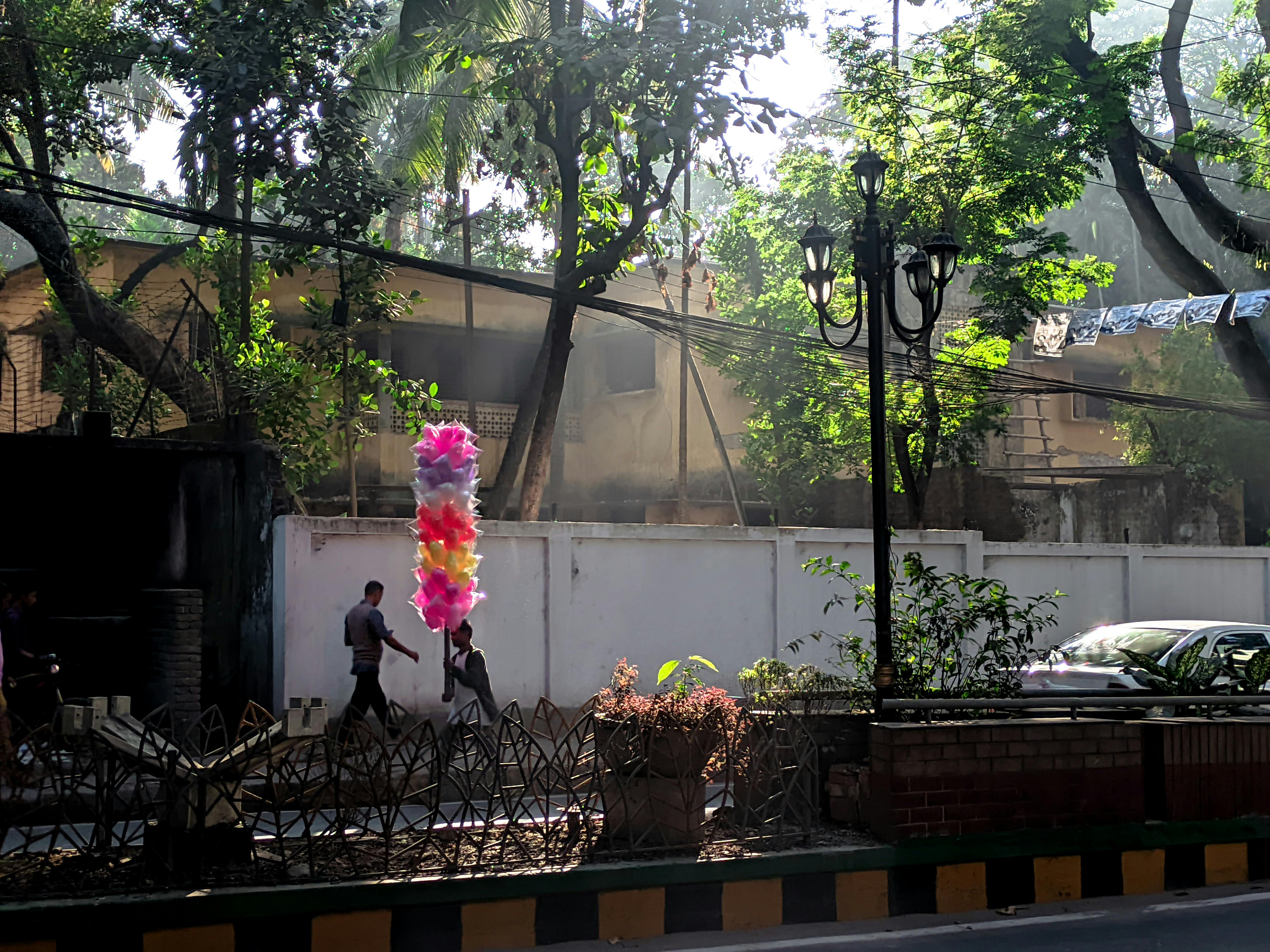 Pedestrians Walking on a Street between Green Trees · Free Stock Photo