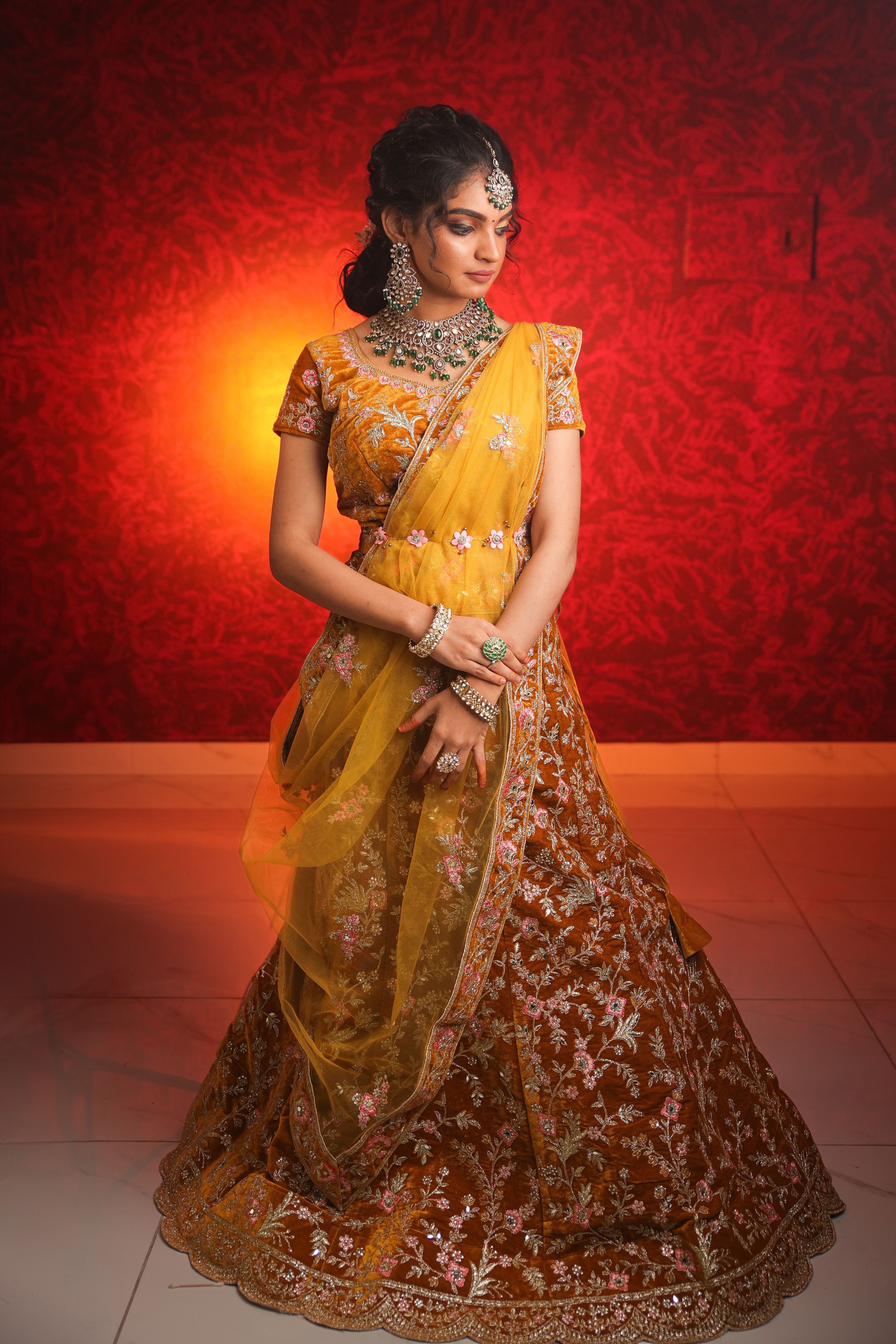 Beautiful Model Posing in Indian Traditional Embroidered Dress · Free ...