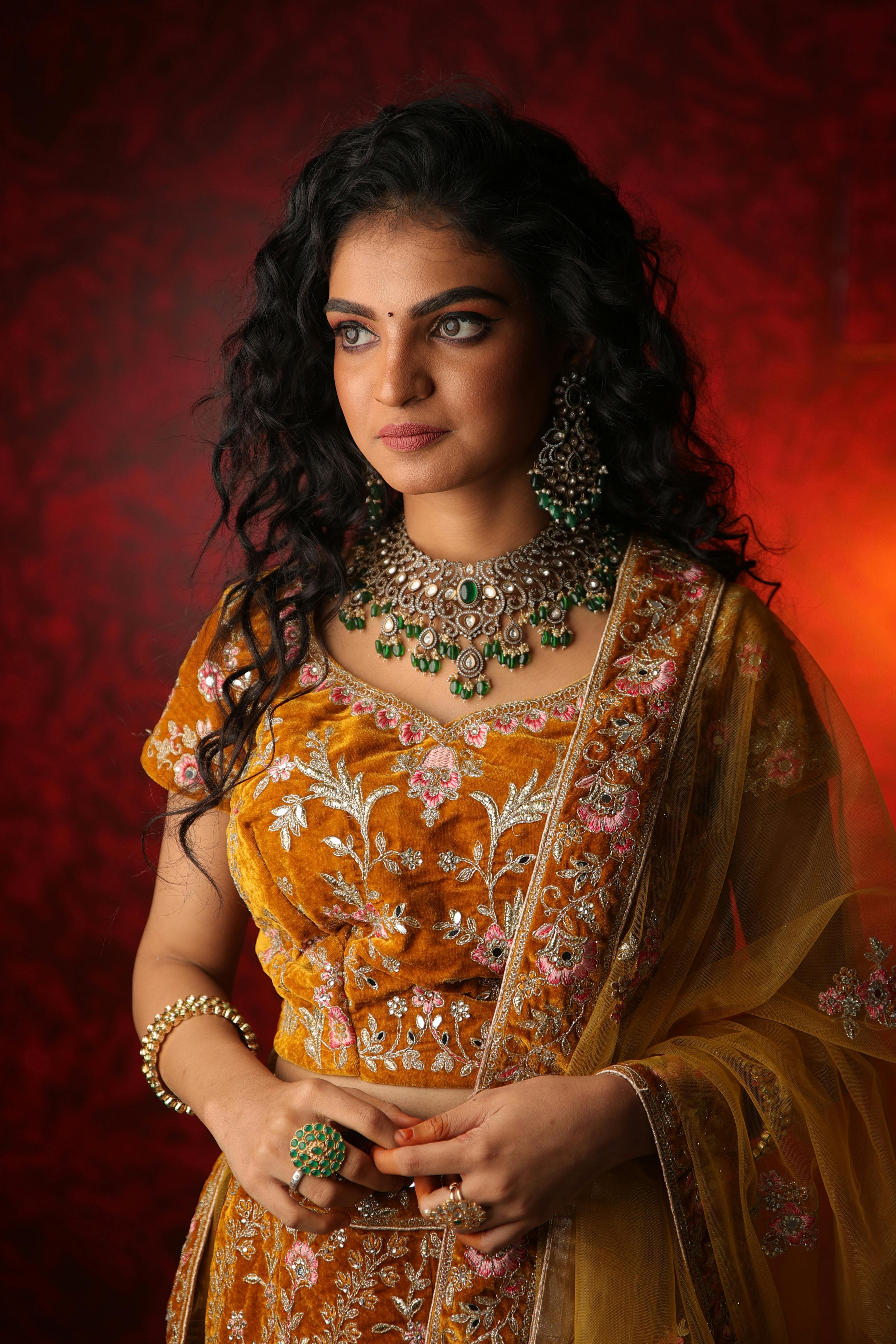 Beautiful Model Posing in Indian Traditional Embroidered Dress · Free ...