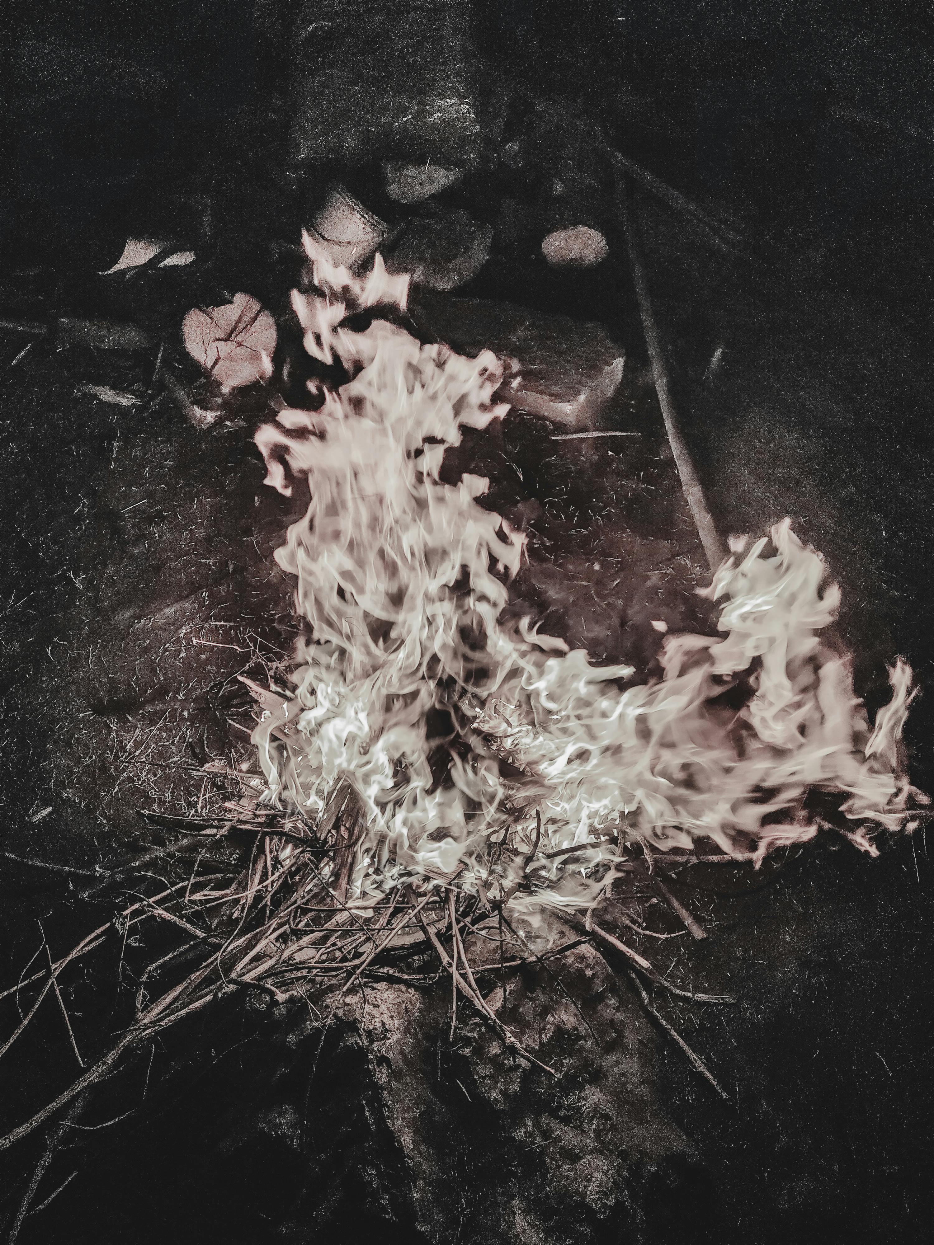 Divyam Chaudhary - Photography