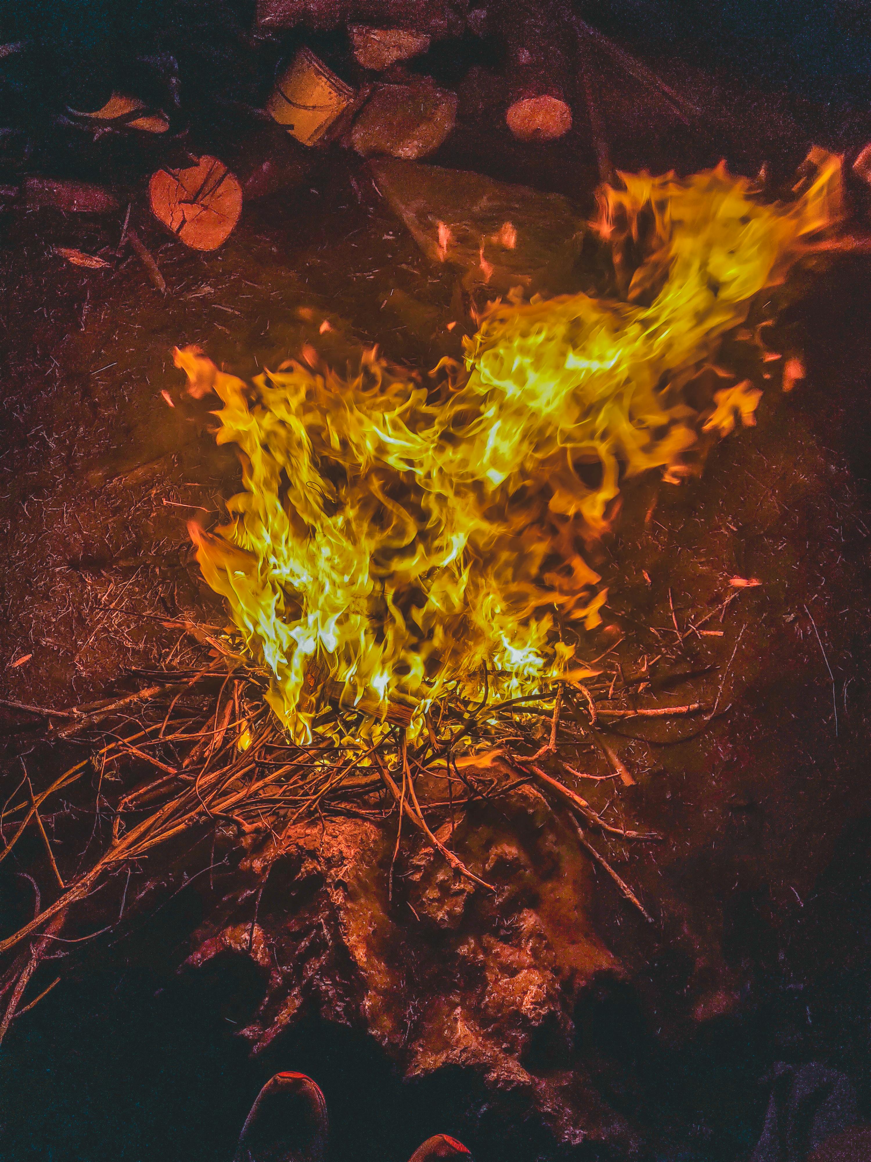 Divyam Chaudhary - Photography