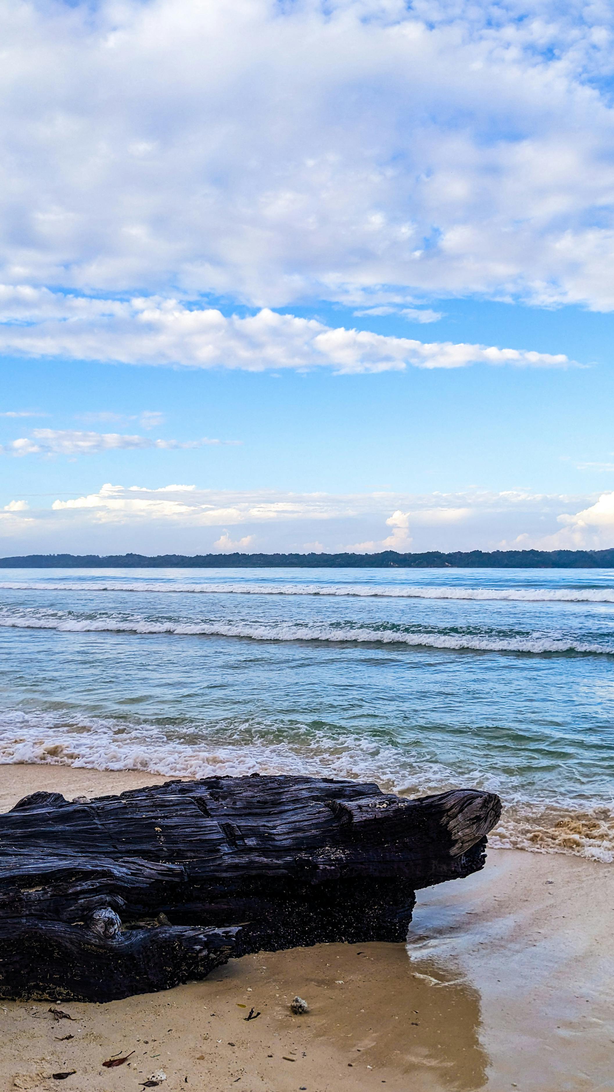 Huge Rock on the Beach and Sea · Free Stock Photo