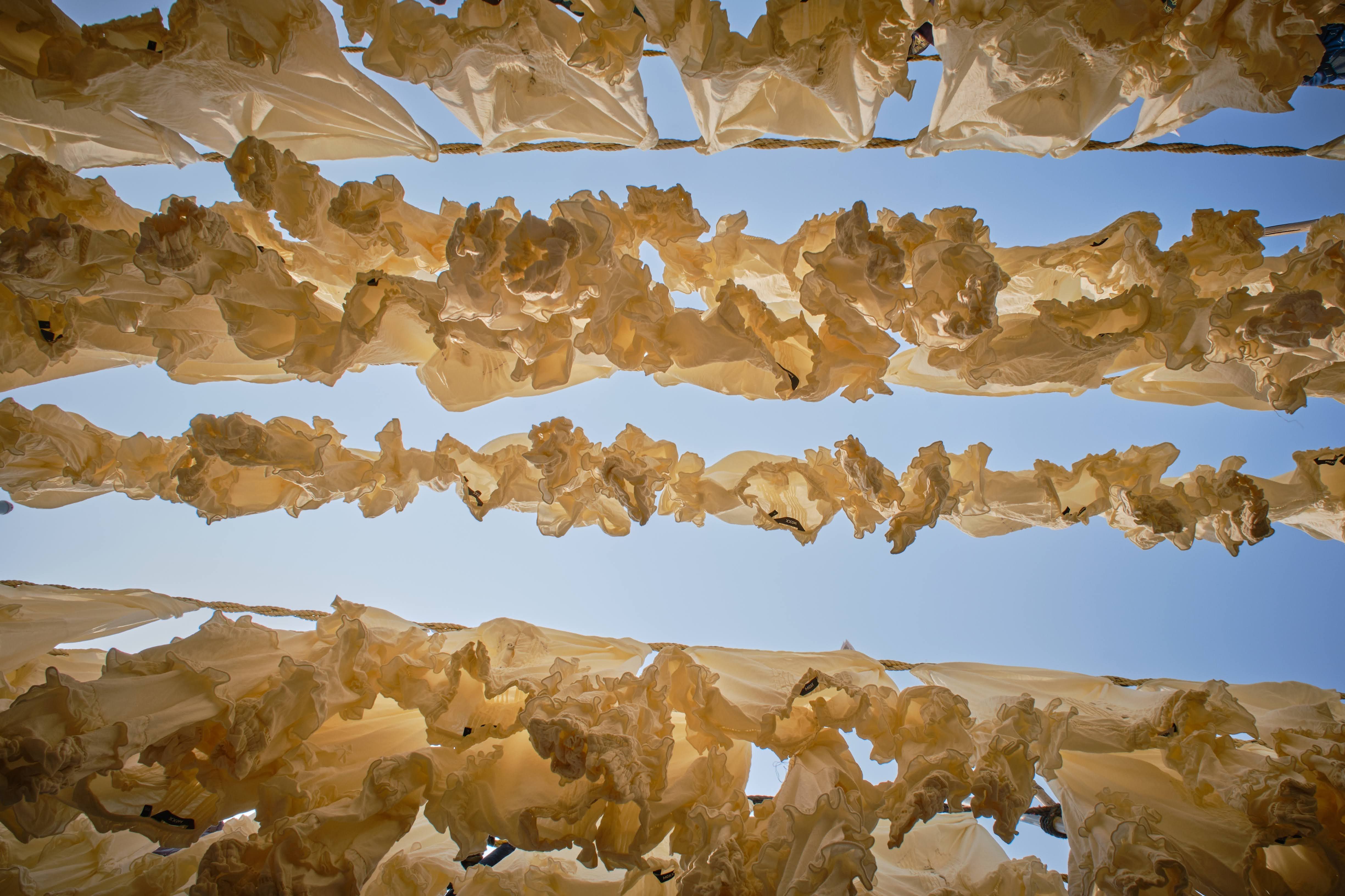 Strings with Hanging Clothes · Free Stock Photo
