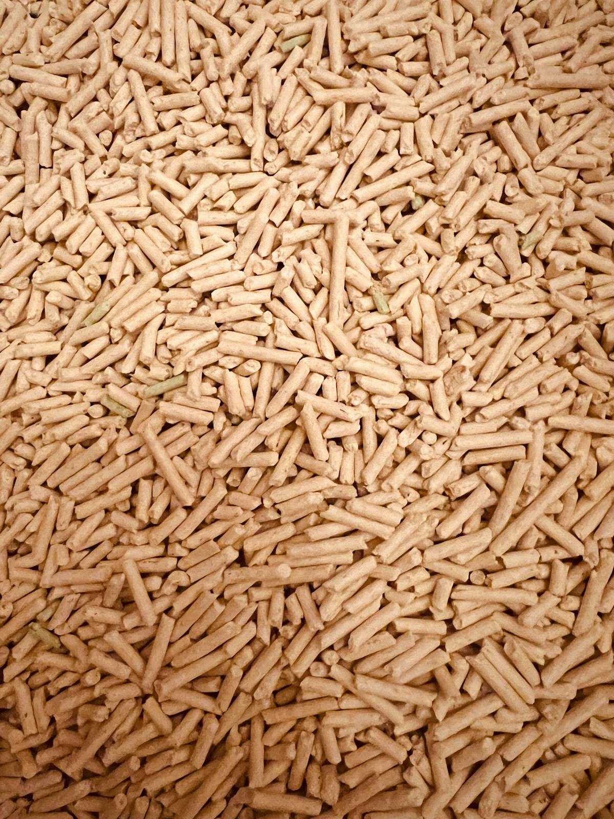 Biomass Pellets Photos, Download The BEST Free Biomass Pellets Stock ...
