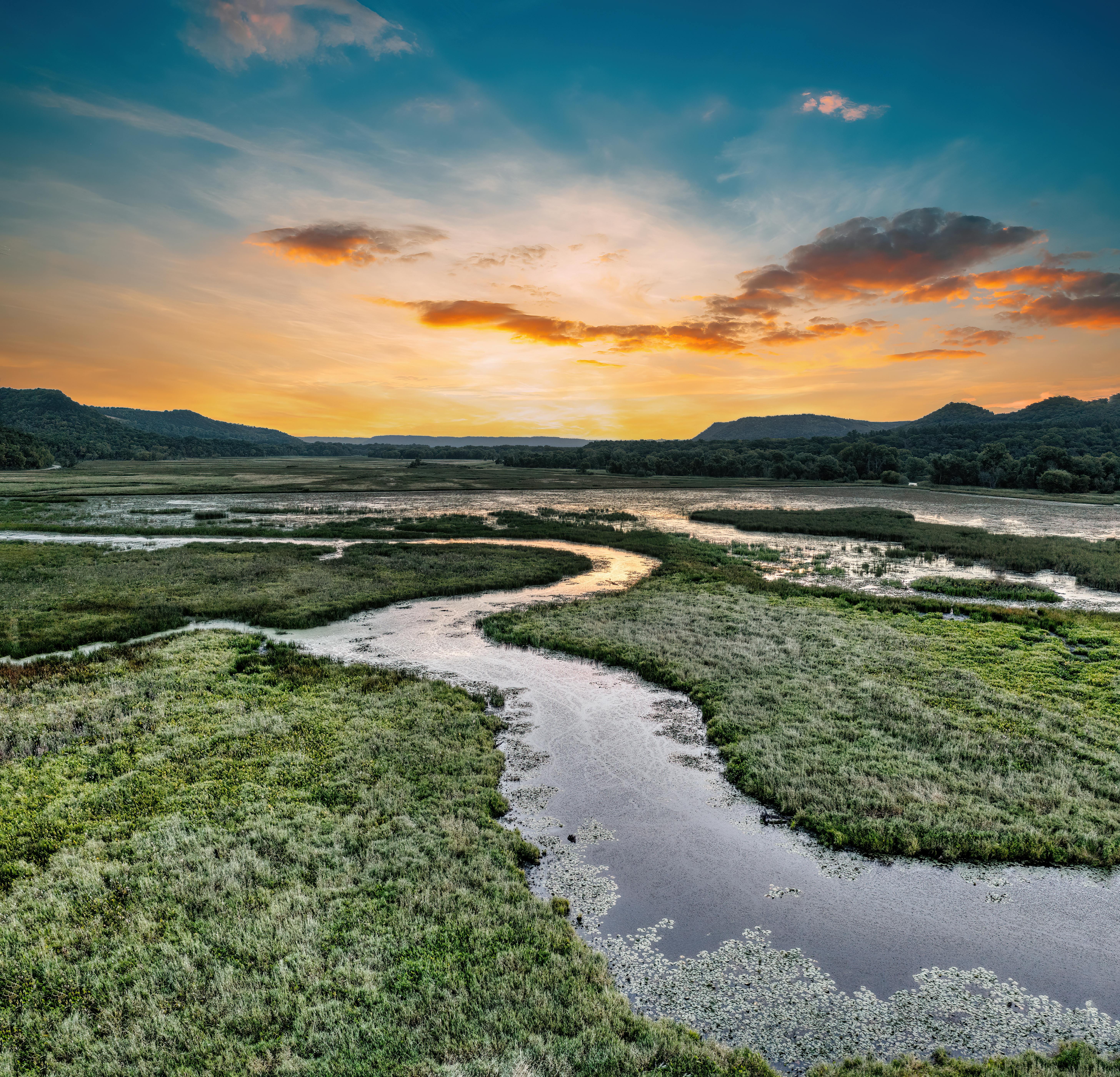 View of a Stream · Free Stock Photo