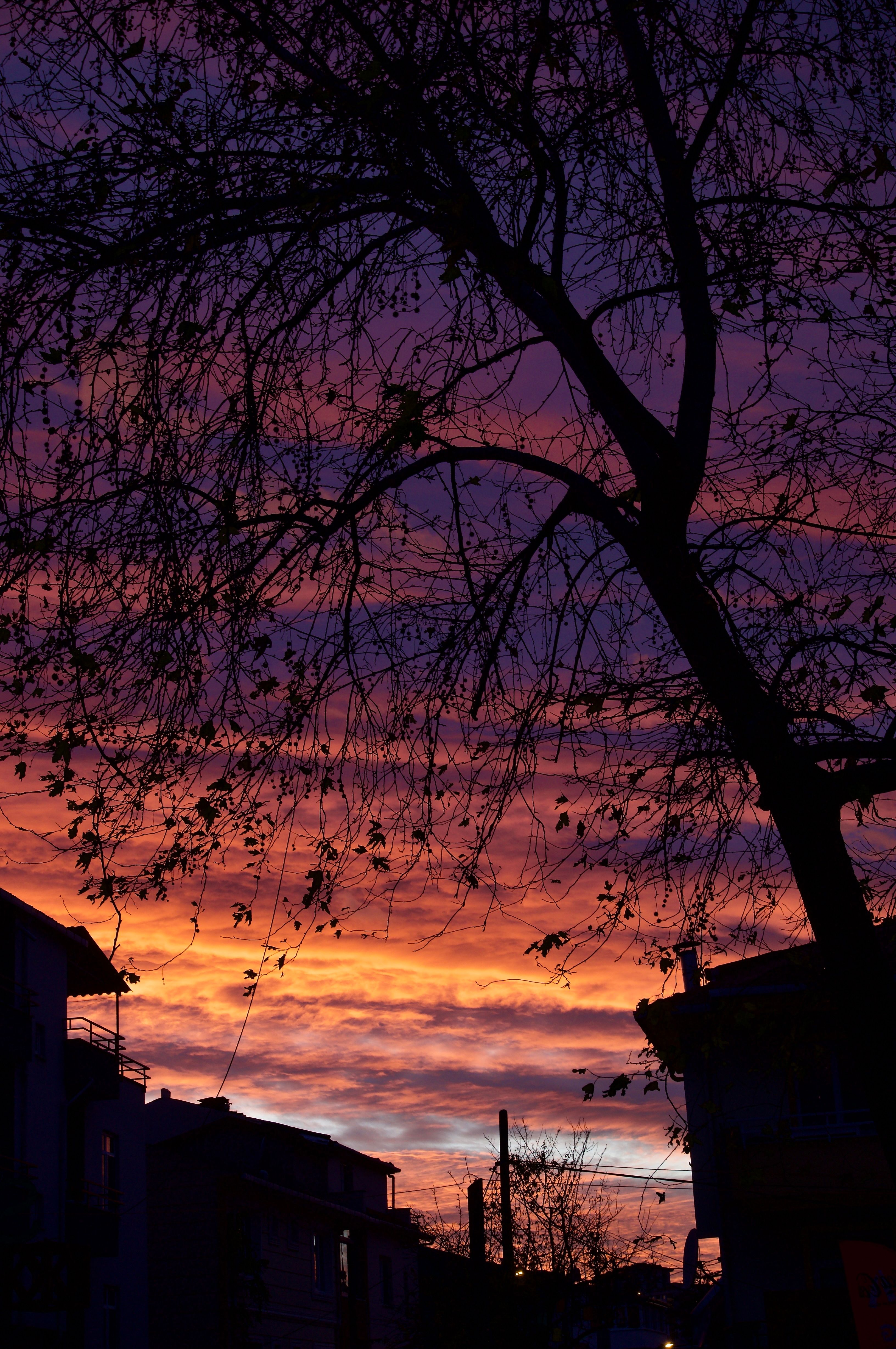 Silhouetted Buildings and Tree against a Dramatic Sunset Sky · Free ...