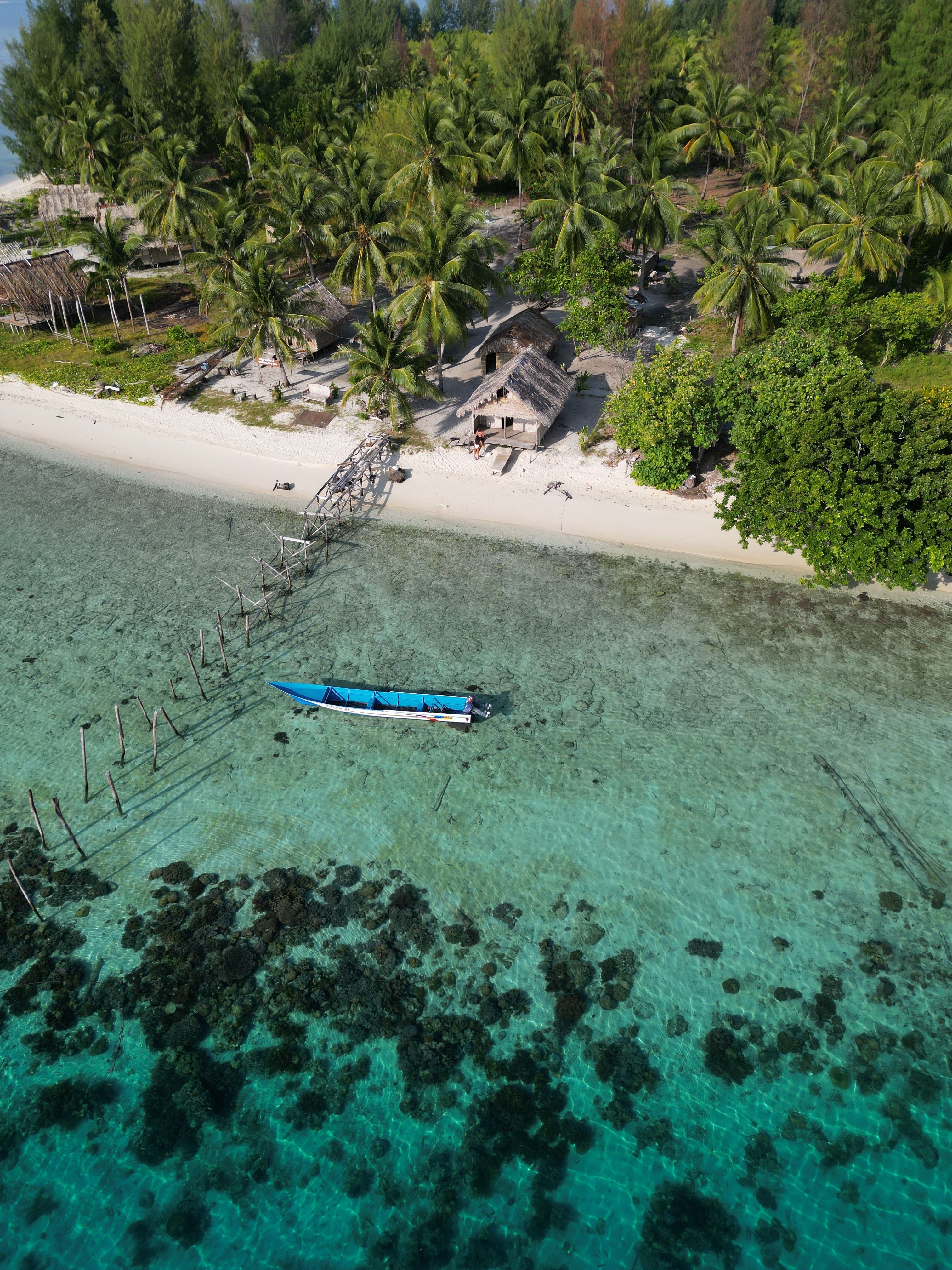 Boat on Tropical Sea Shore · Free Stock Photo