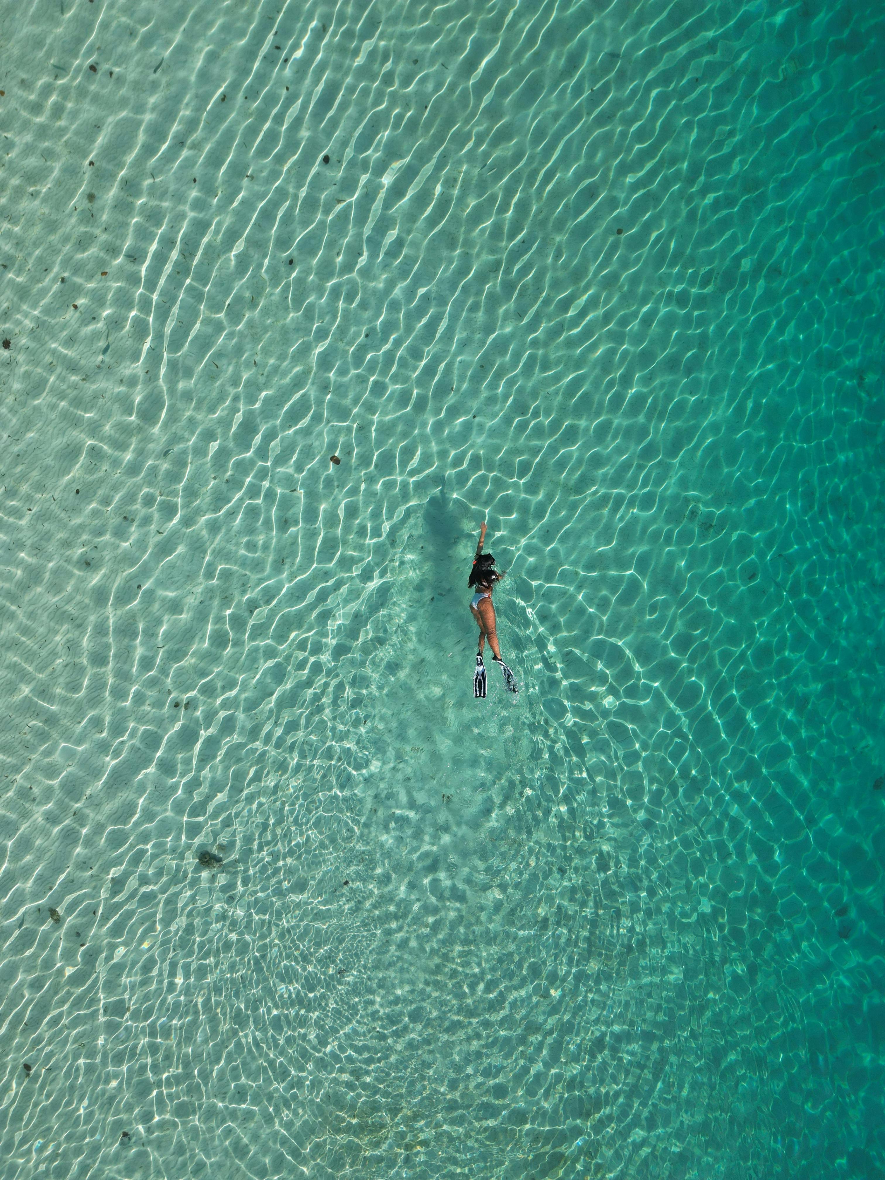 Woman Swimming in a Sea · Free Stock Photo