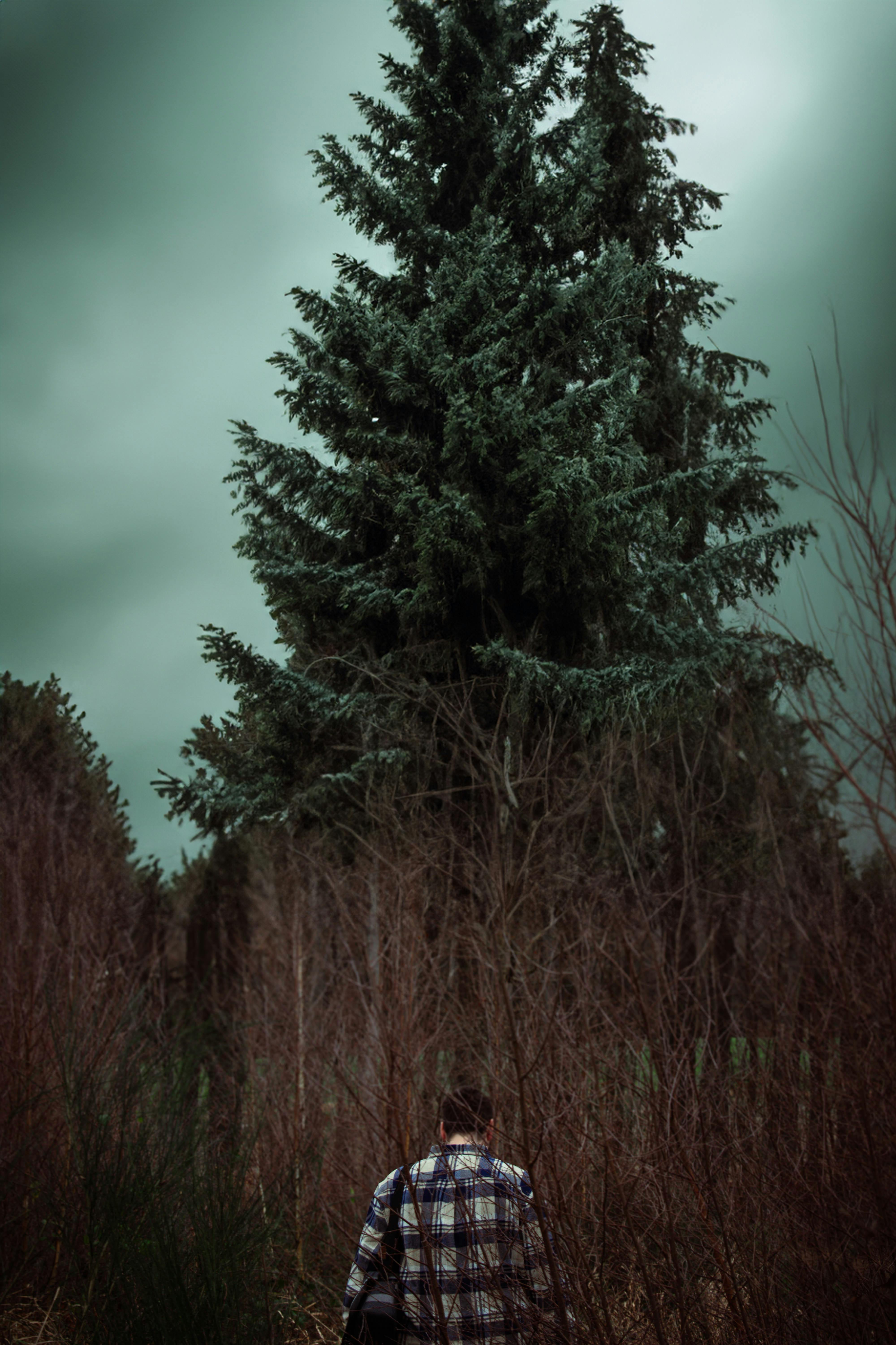 Alaska Wilderness Photos, Download The BEST Free Alaska Wilderness ...