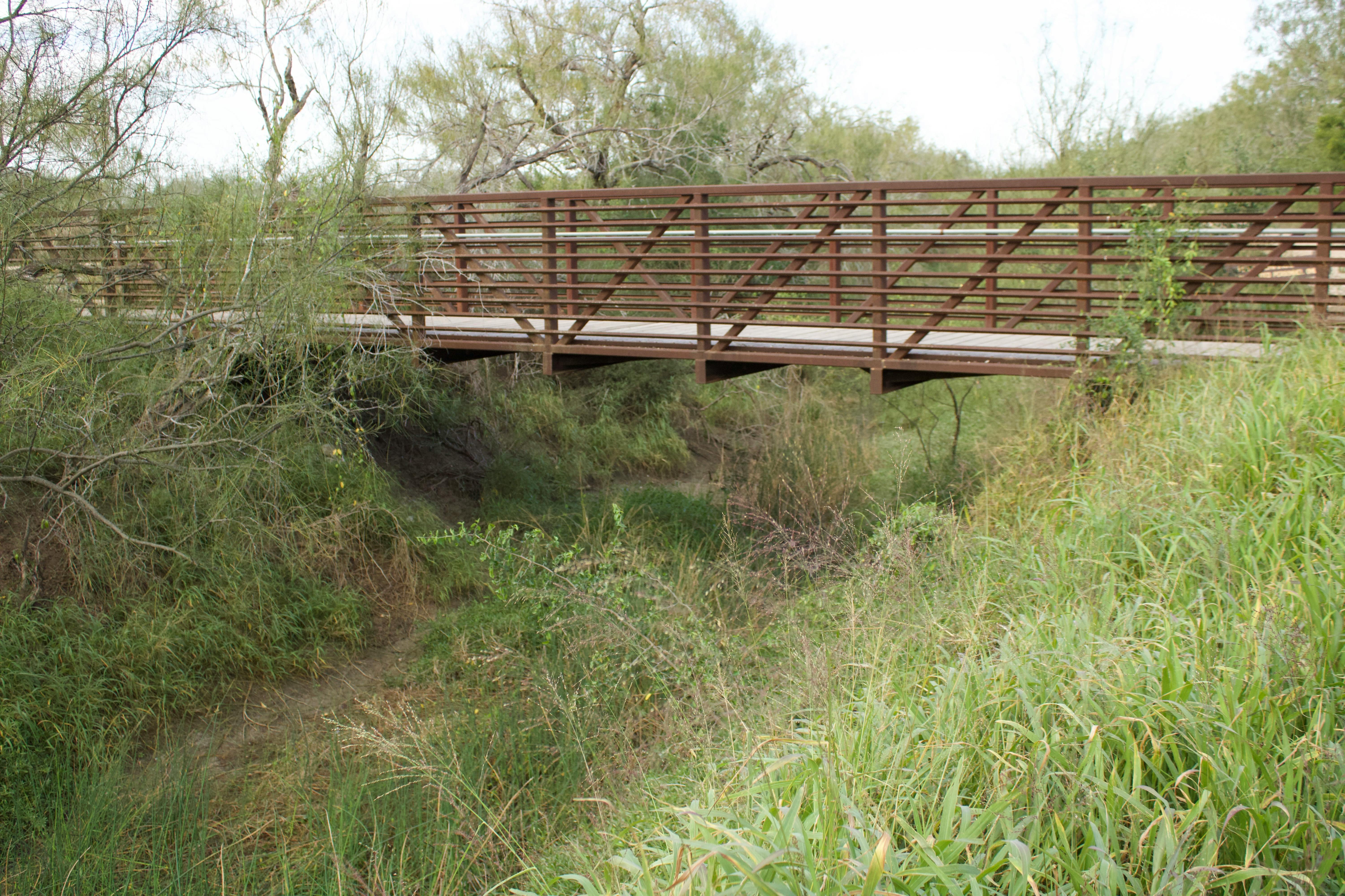 Wooden Foot Bridge over a Grass Covered Gully · Free Stock Photo