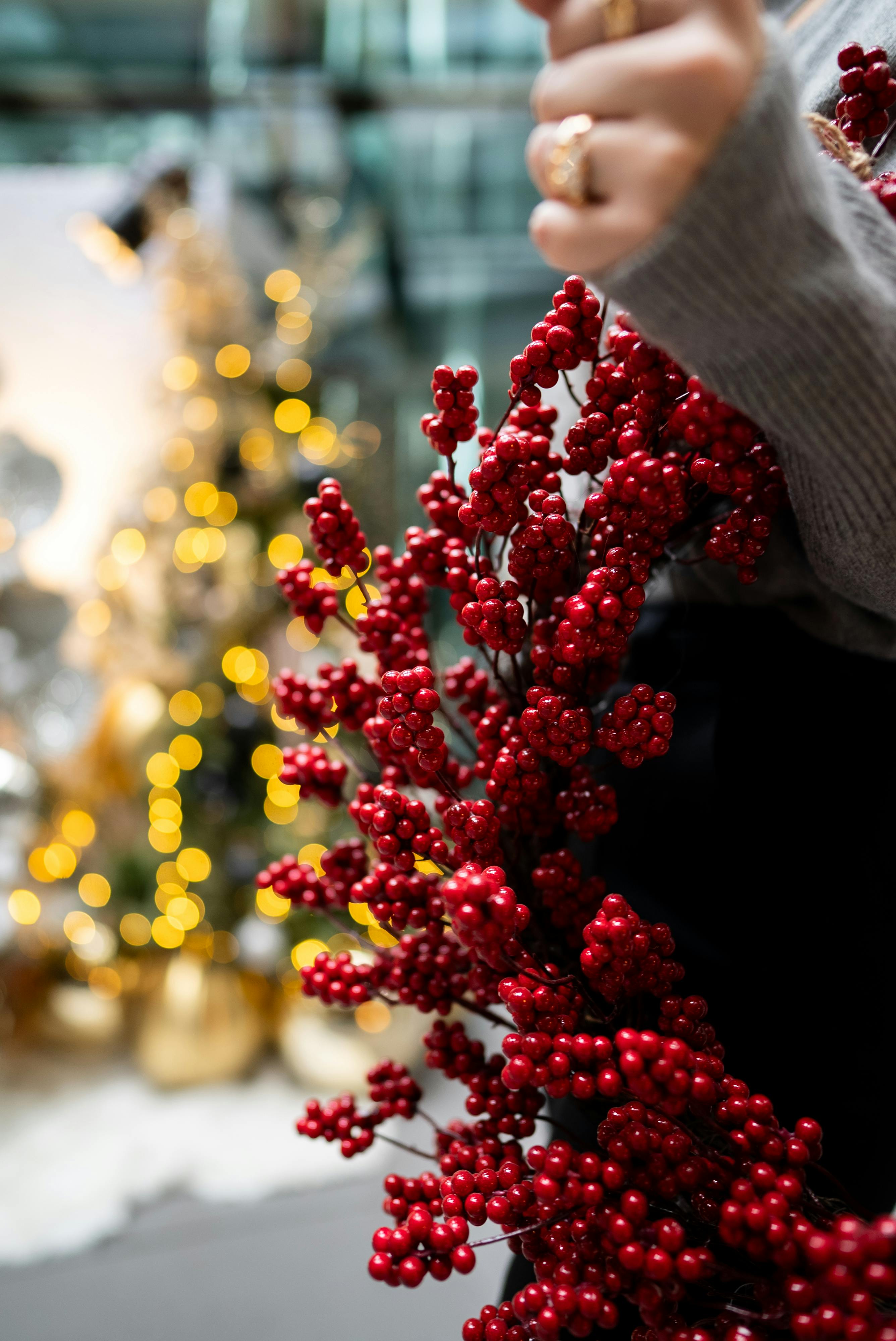 Mas Photos, Download The BEST Free Mas Stock Photos & HD Images