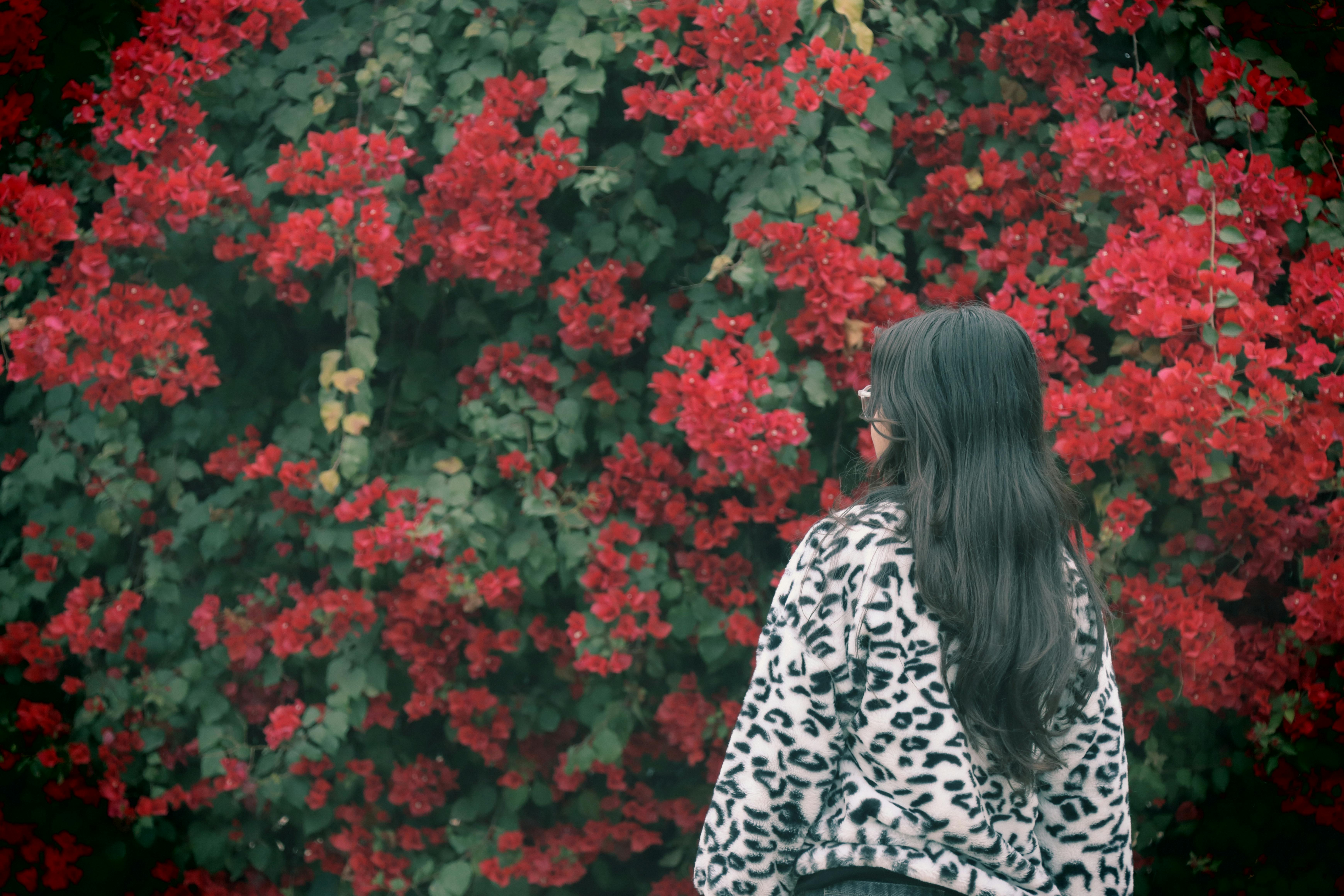 Spring Portrait Background Photos, Download The BEST Free Spring ...