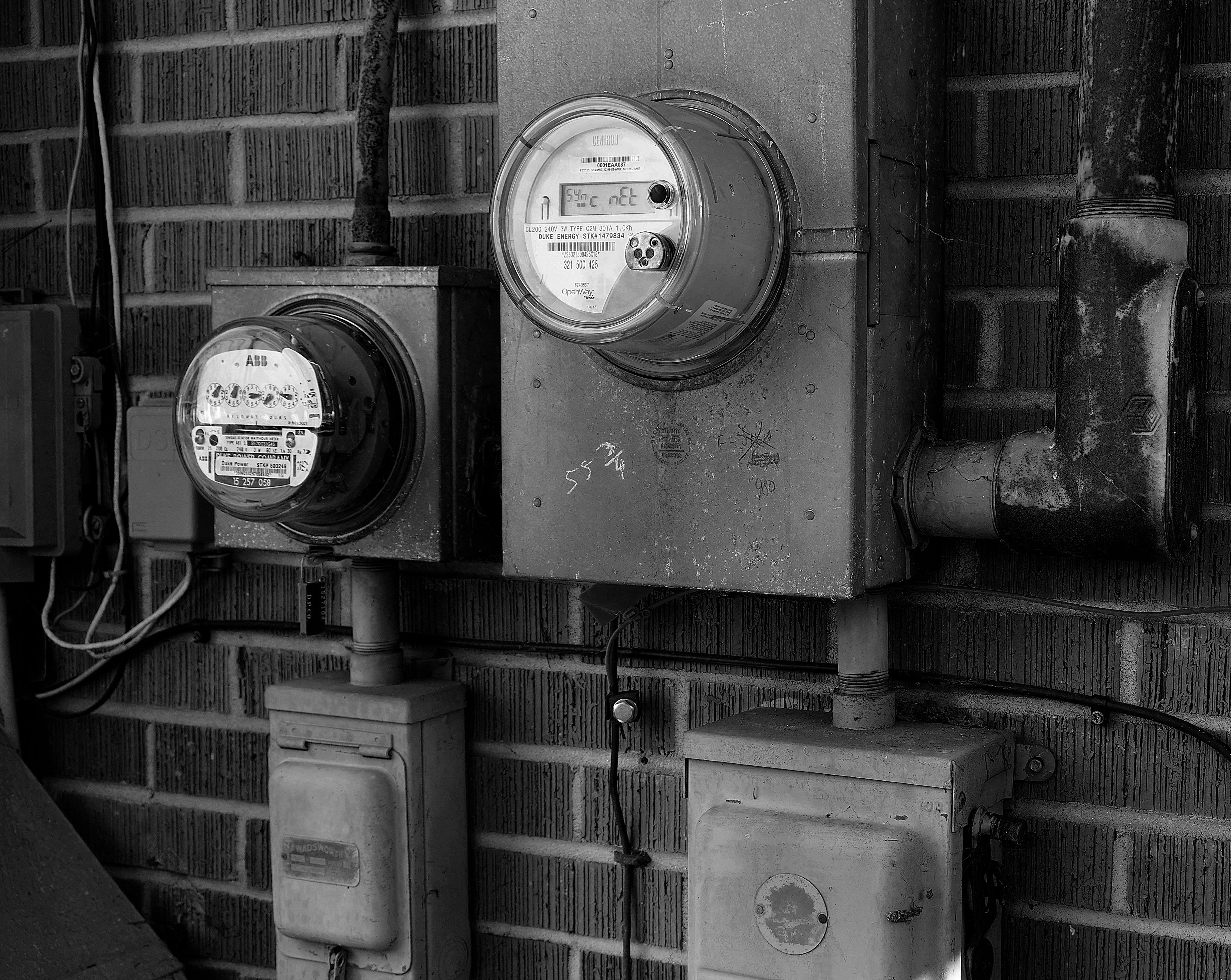 Lynn Nash - Photography