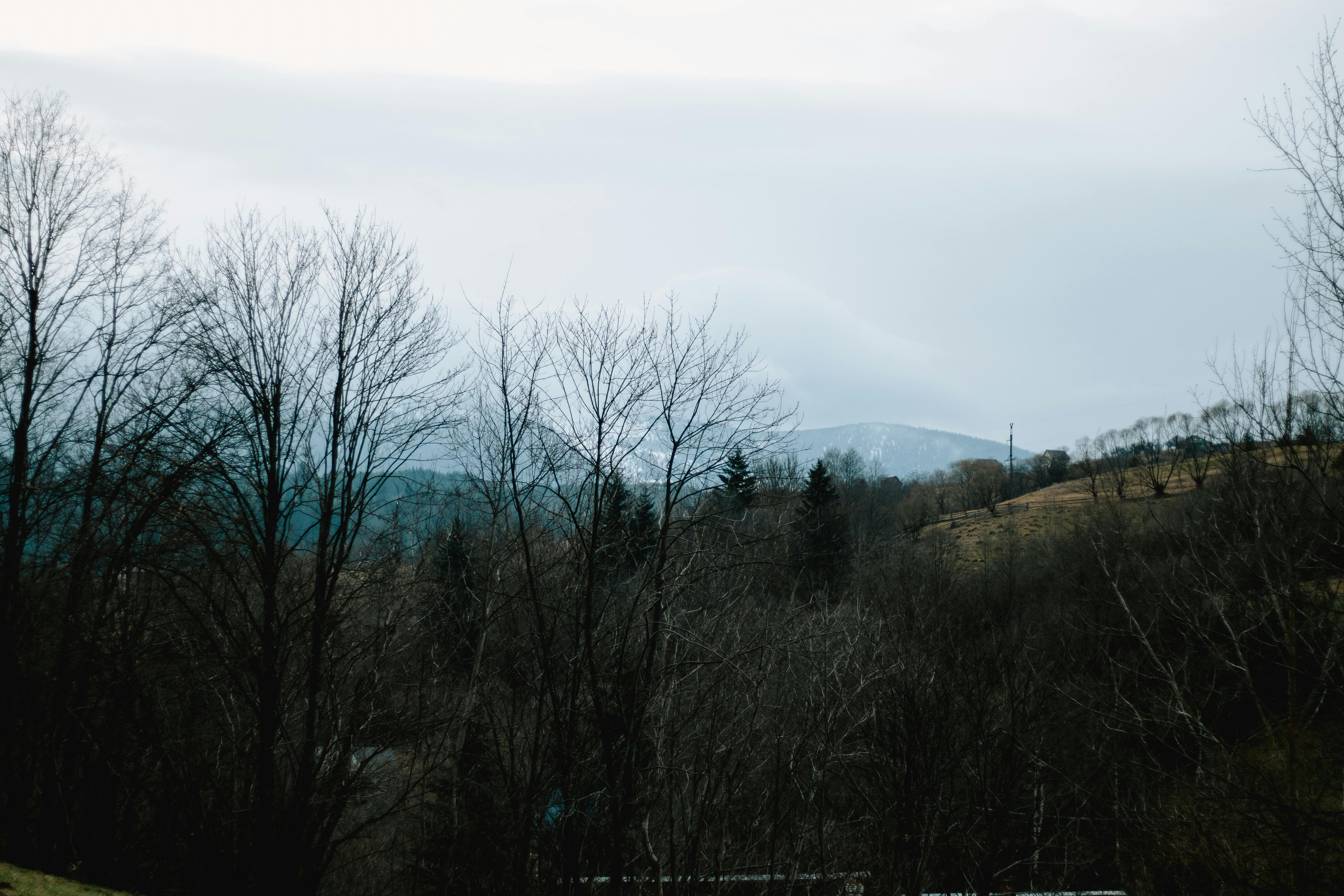 Wide Angle Shot of a Rural Landscape · Free Stock Photo