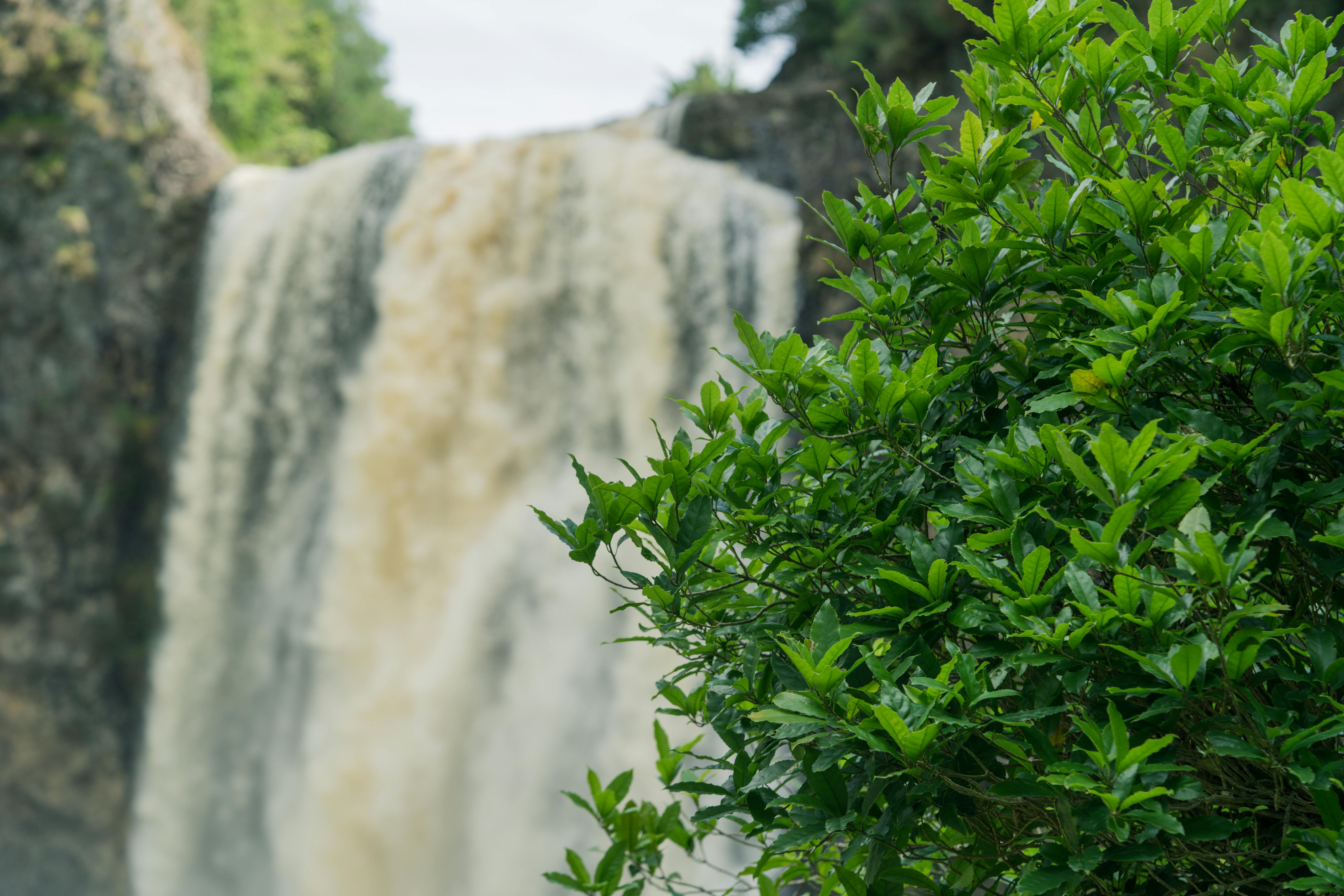 Hunua Falls New Zealand · Free Stock Photo