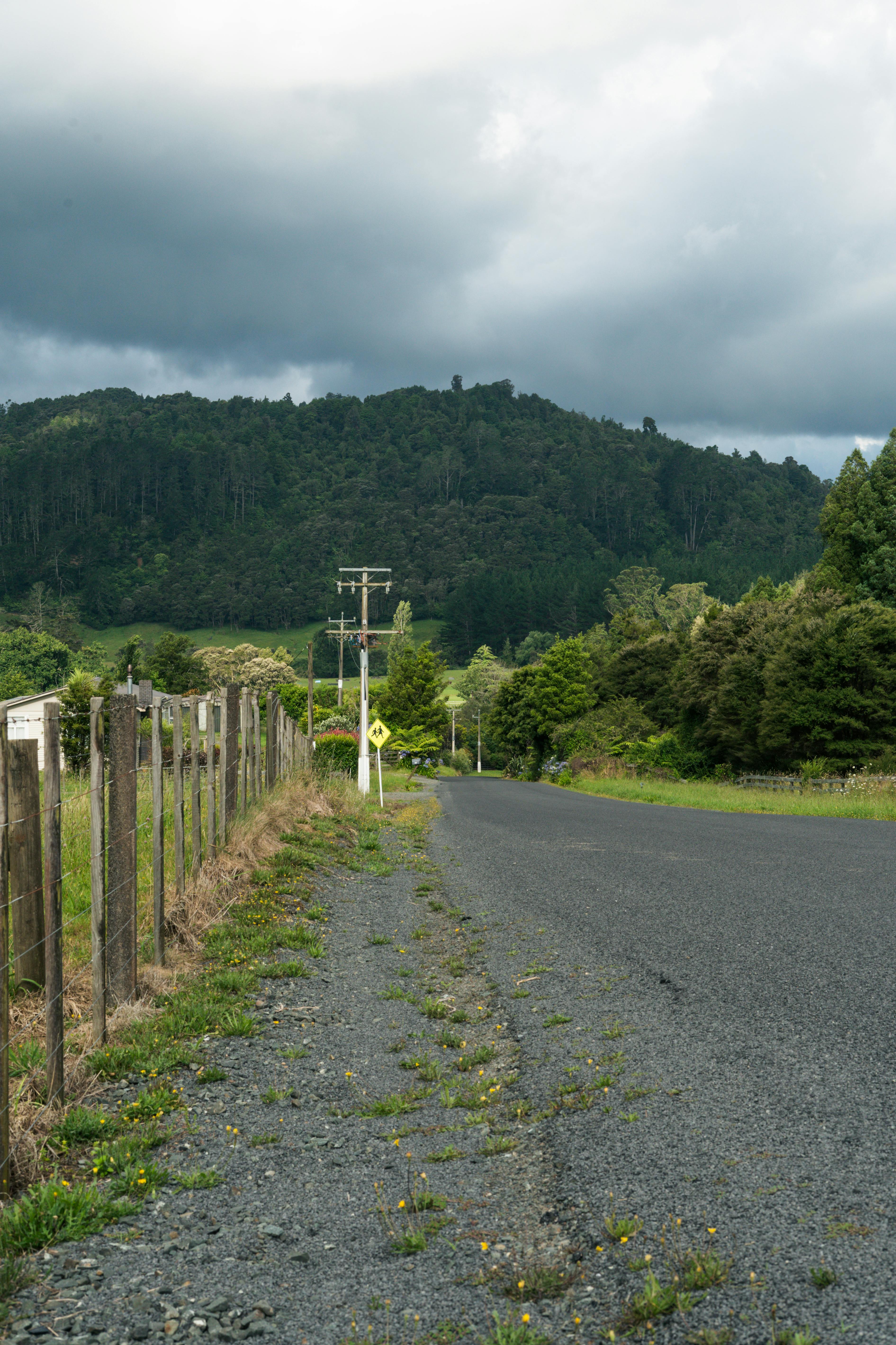 Hunua New Zealand Grasslands · Free Stock Photo