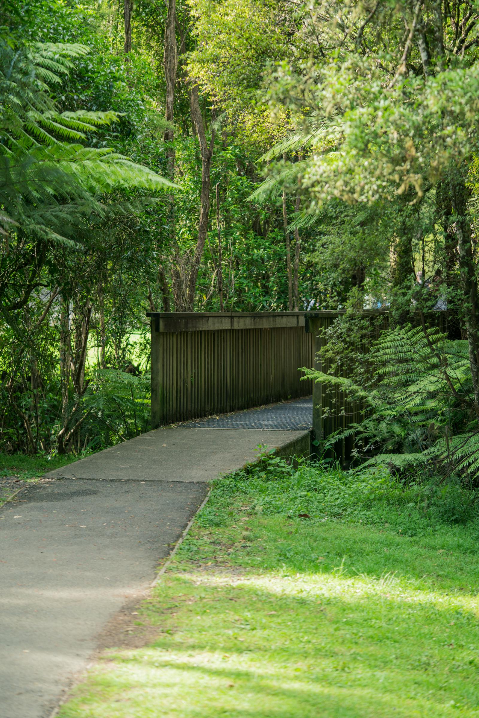 New Path Photos, Download The BEST Free New Path Stock Photos & HD Images