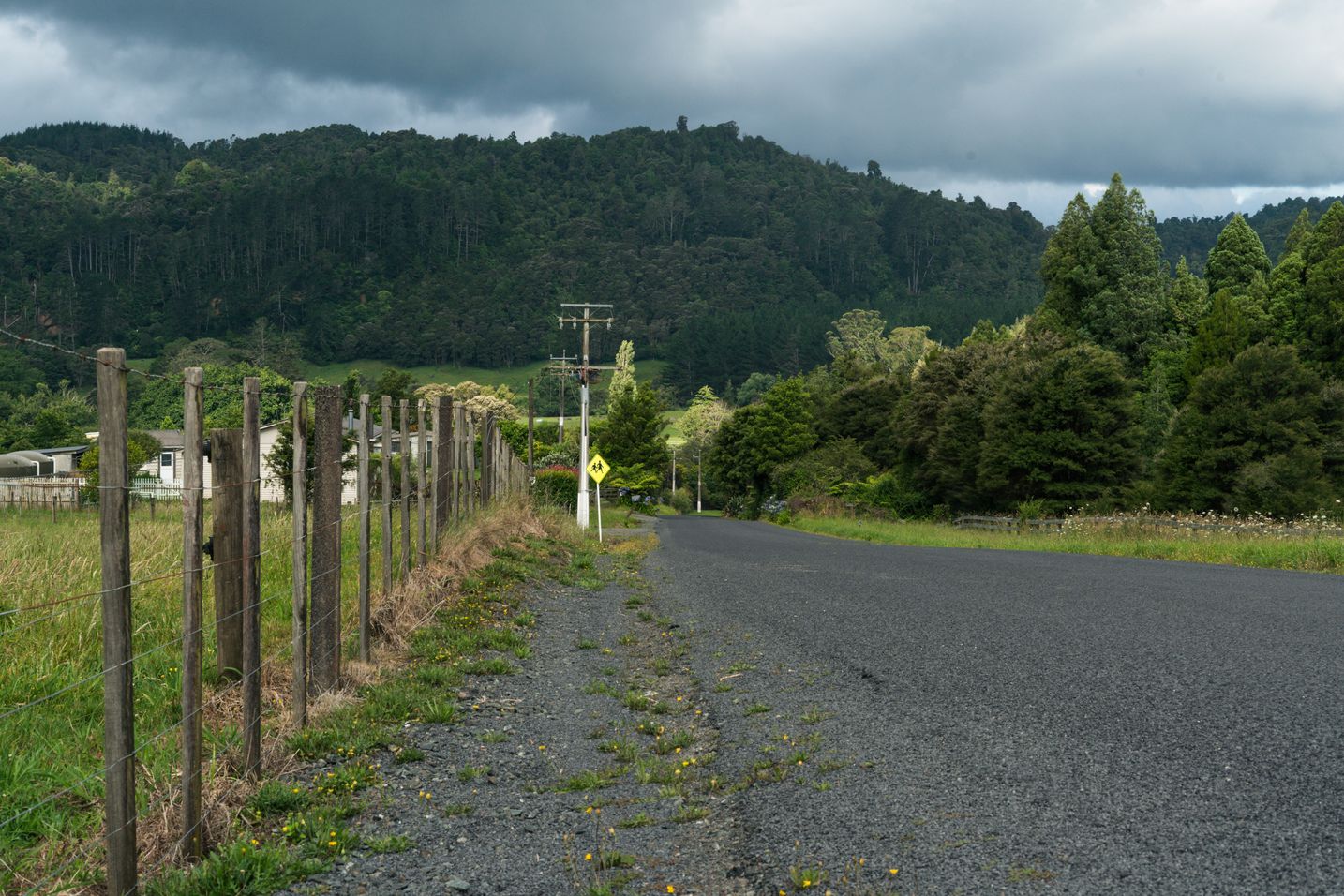 Huntaway New Zealand: Origins, Traits, and Farming History