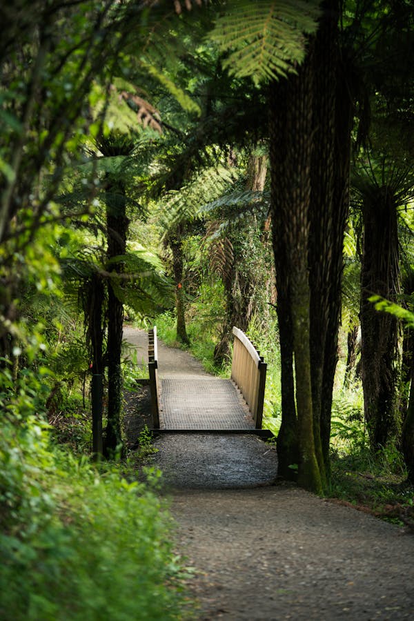 New Path Photos, Download The BEST Free New Path Stock Photos & HD Images