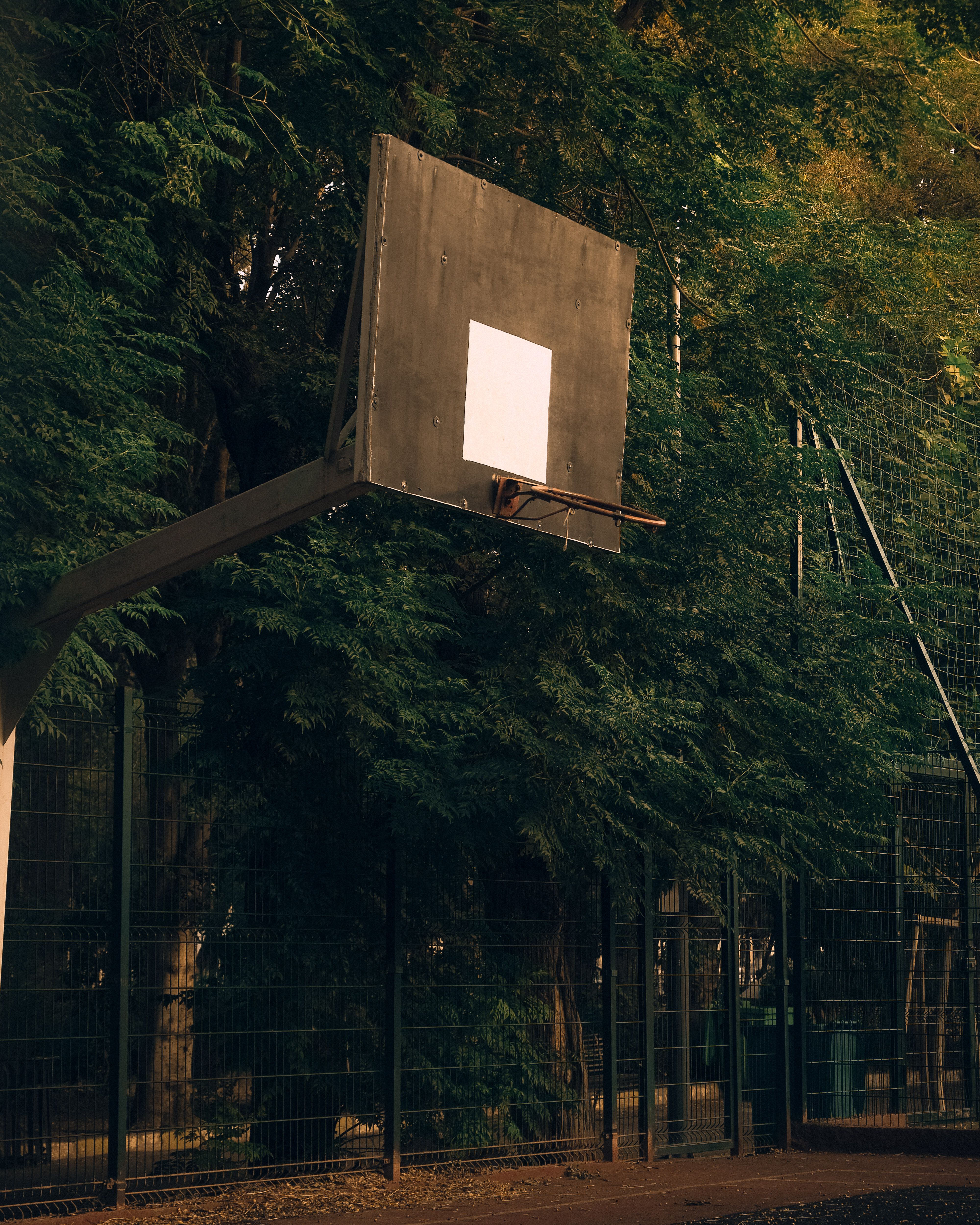 Basketball Ring on Court · Free Stock Photo