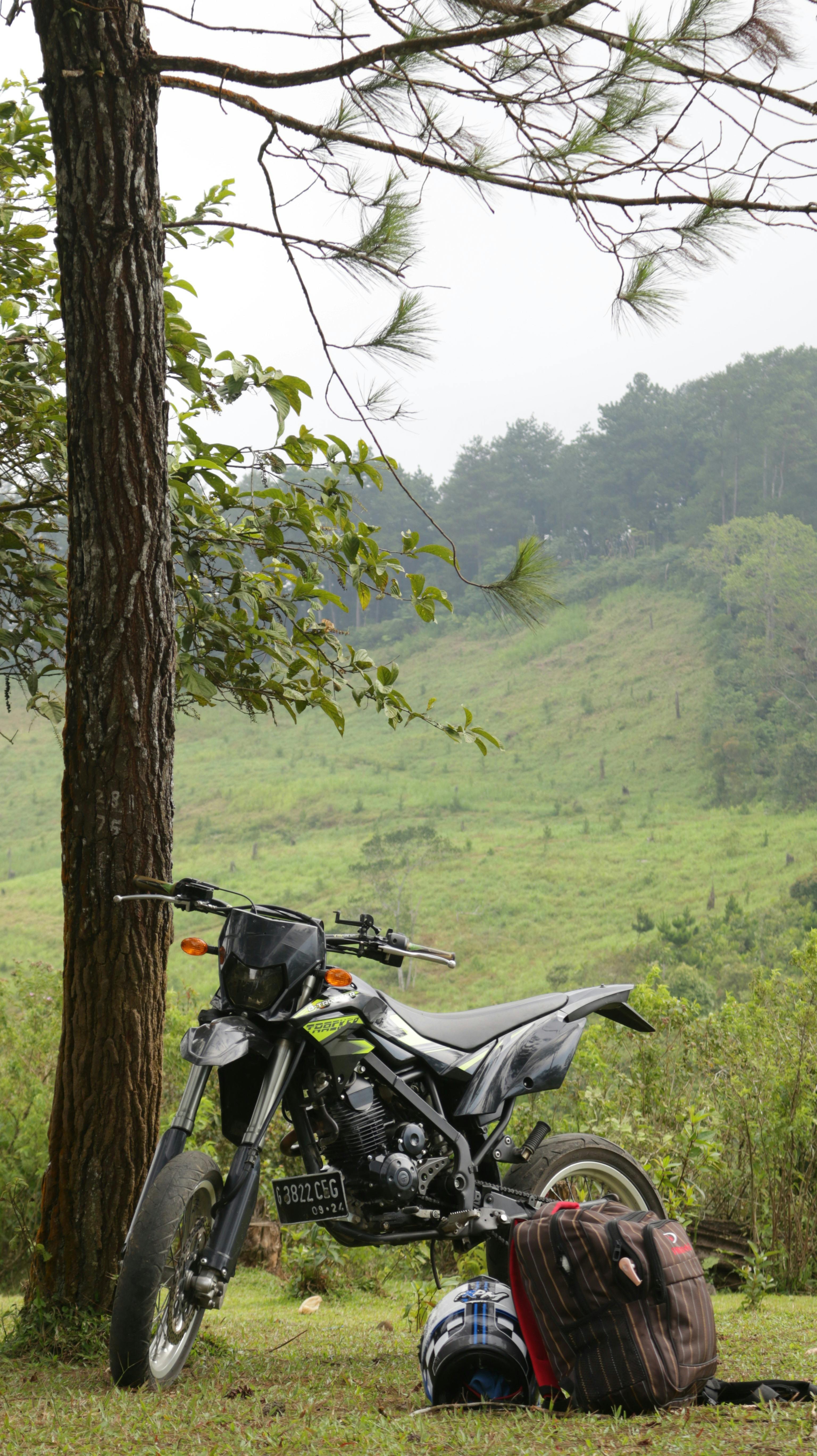 D-Tracker Motorcycle Parked under Tree in Grass · Free Stock Photo