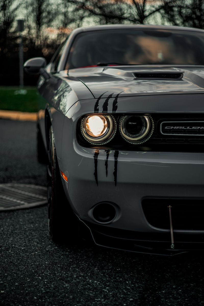 4k Muscle Car Photos, Download The BEST Free 4k Muscle Car Stock Photos ...