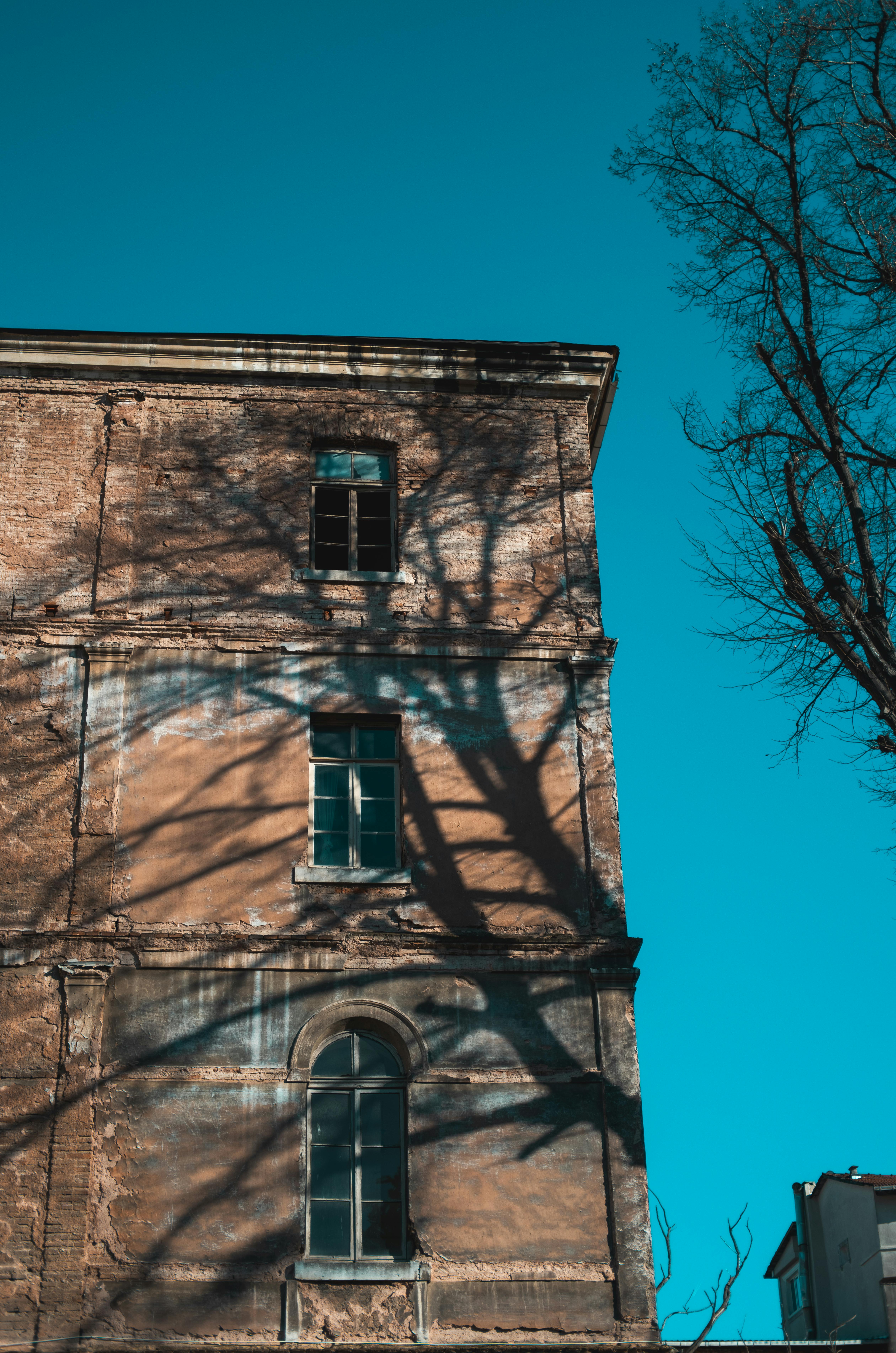 Tree Casting Shadow on Building · Free Stock Photo