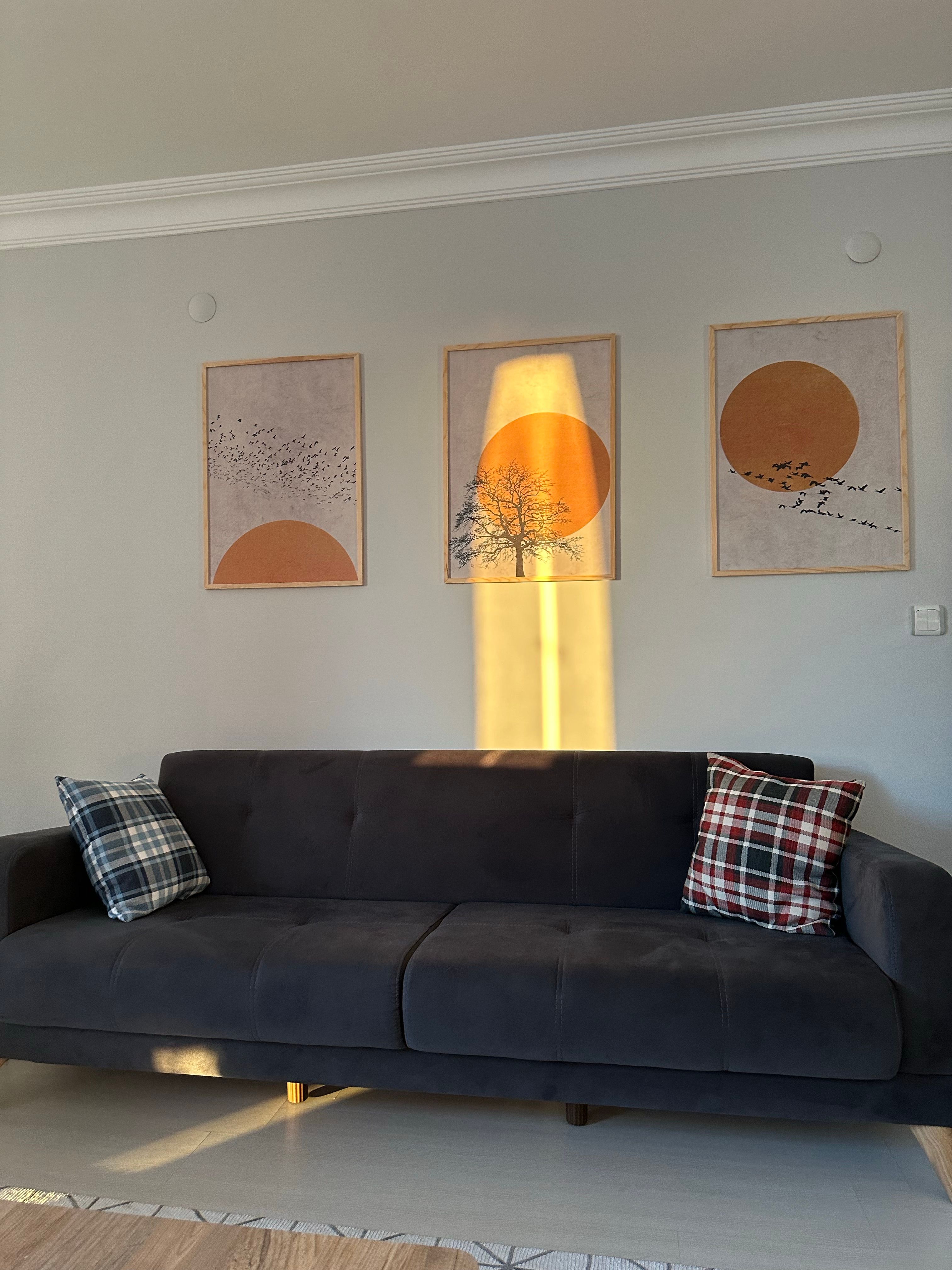 A Sofa and Minimalist Posters on the Wall in a Modern Room · Free Stock ...