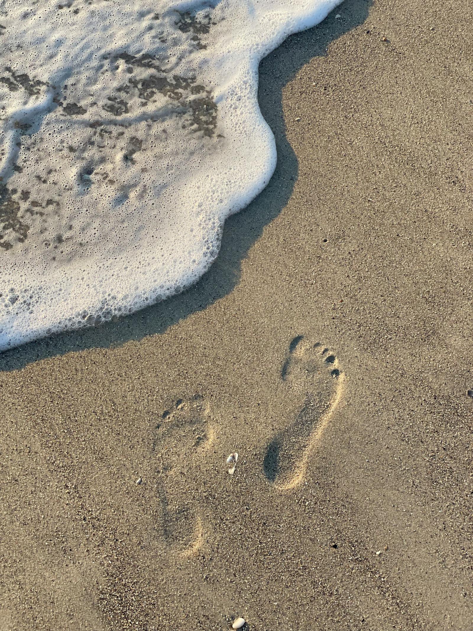 Foot Print Photos, Download The BEST Free Foot Print Stock Photos & HD ...