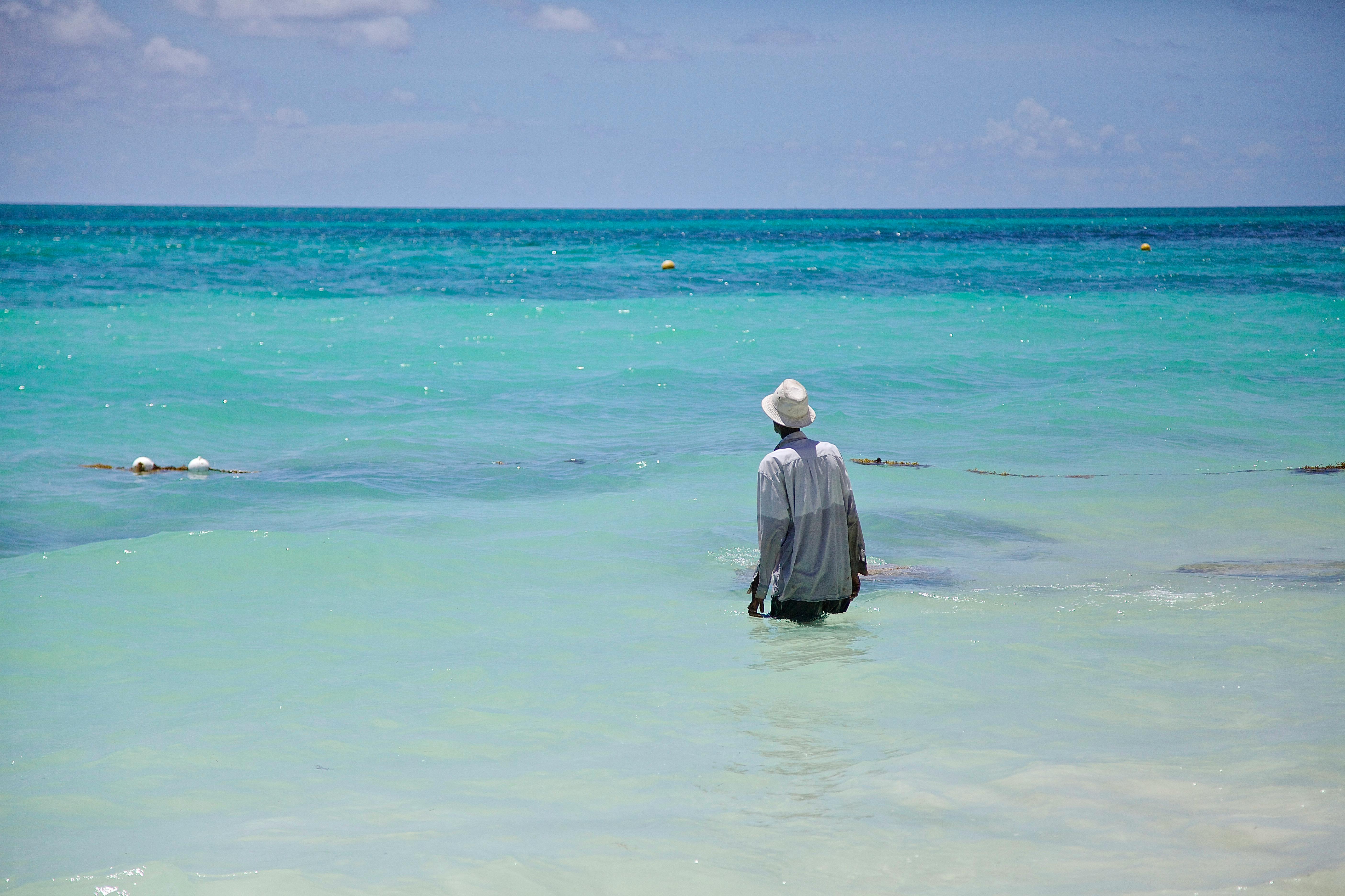 Octopus In Ocean Photos, Download The BEST Free Octopus In Ocean Stock ...