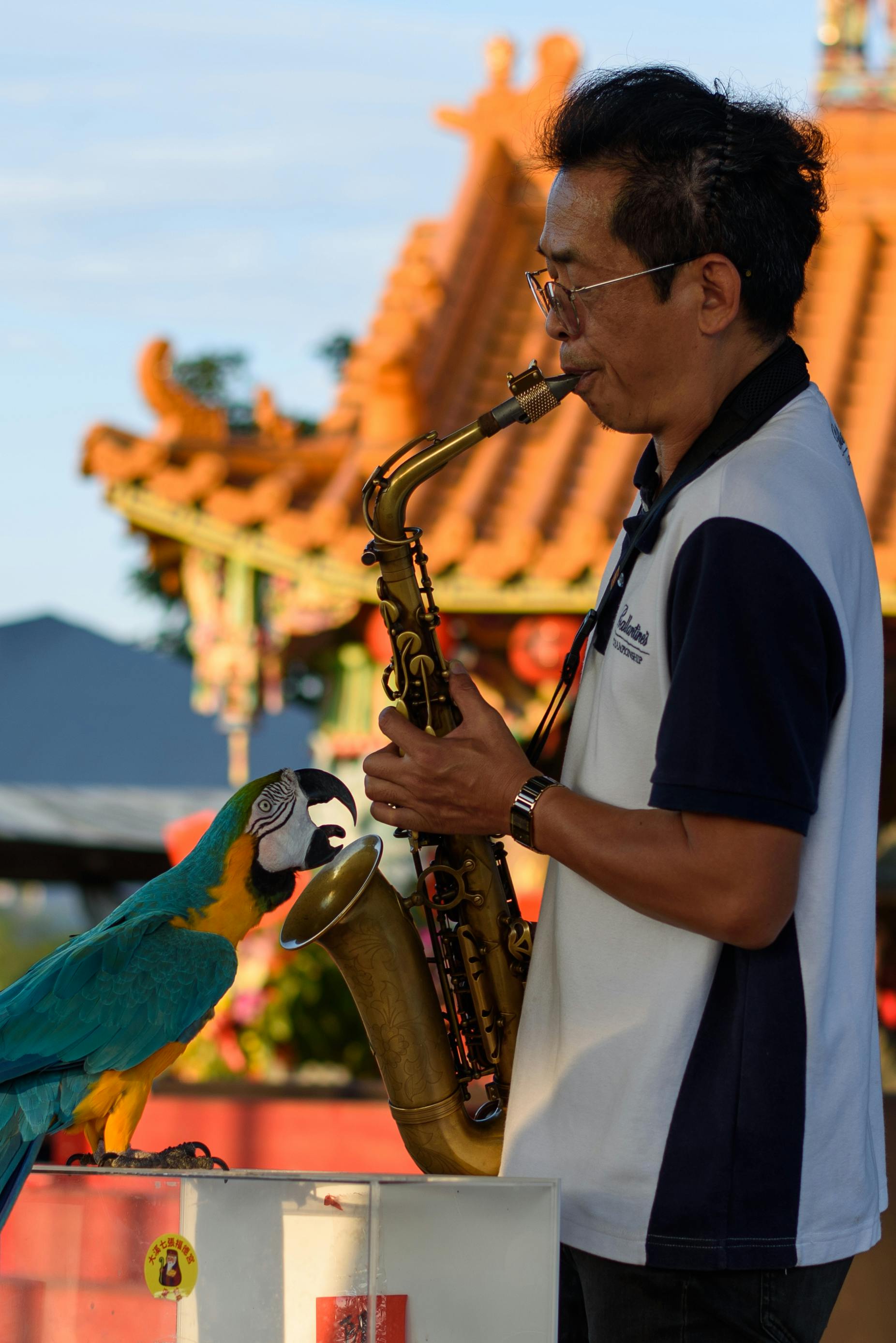 Man with Parrot Playing Saxophone · Free Stock Photo
