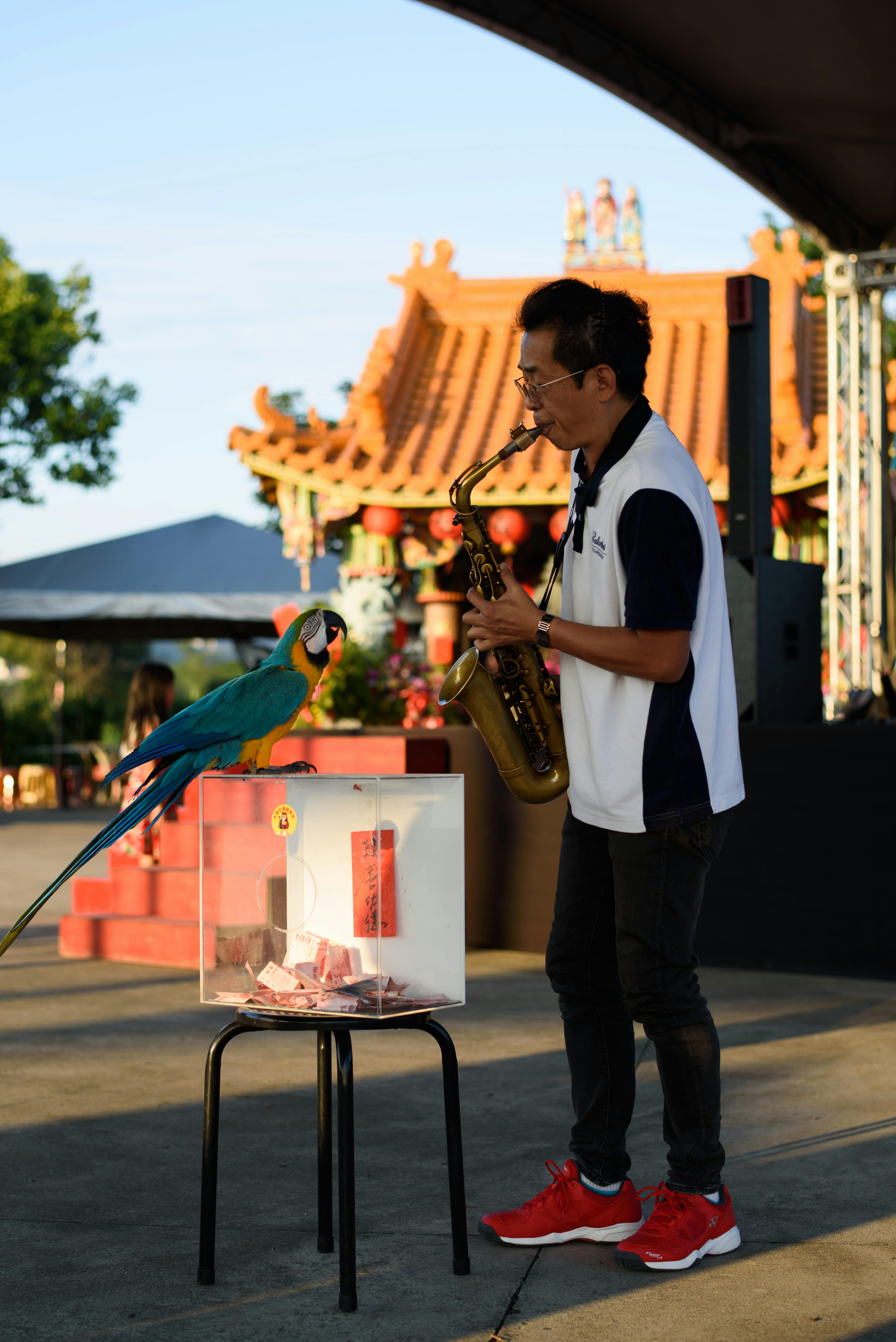 Street Musician Playing the Saxophone and a Parrot Perching on the ...