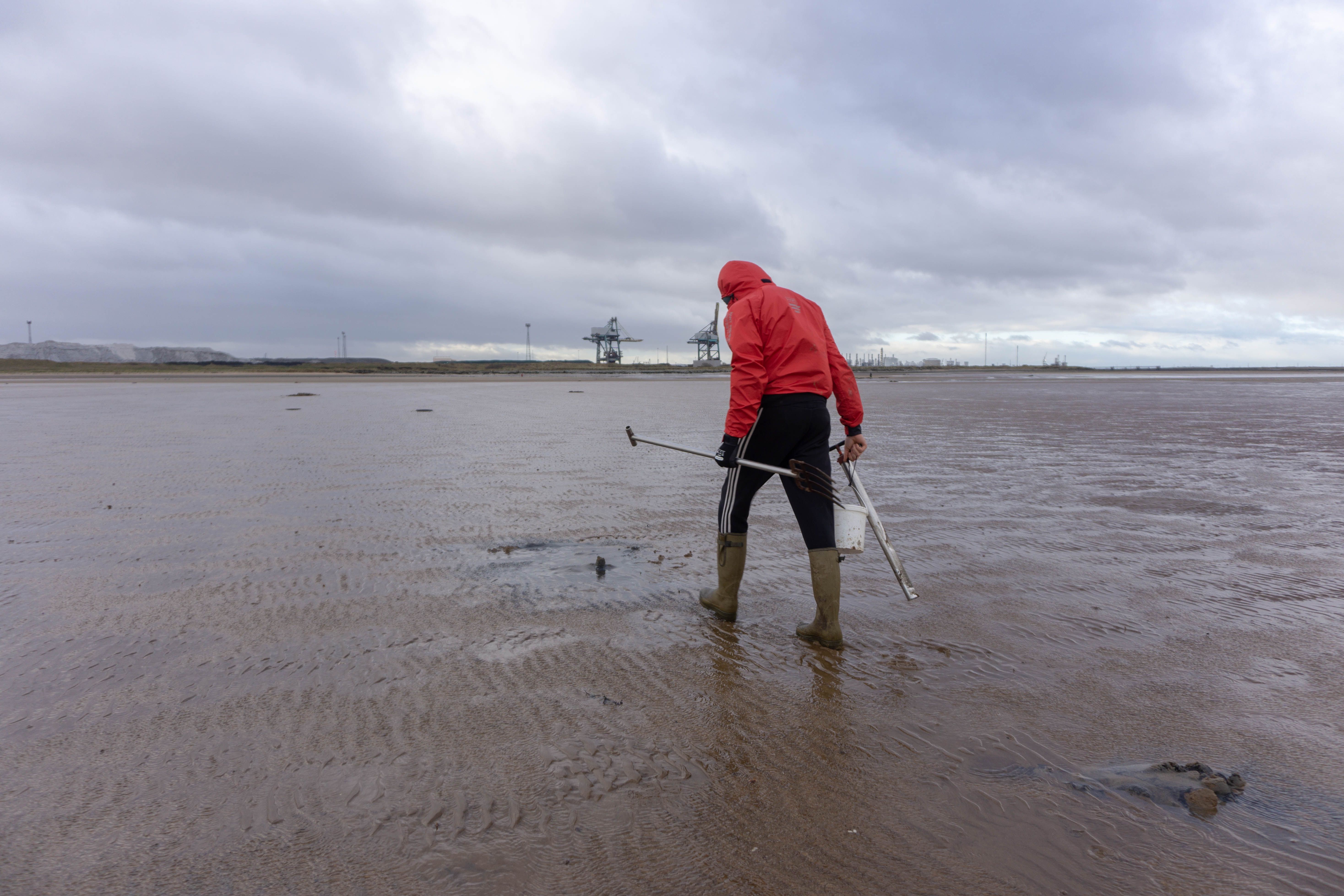Sea fishing bait collector · Free Stock Photo